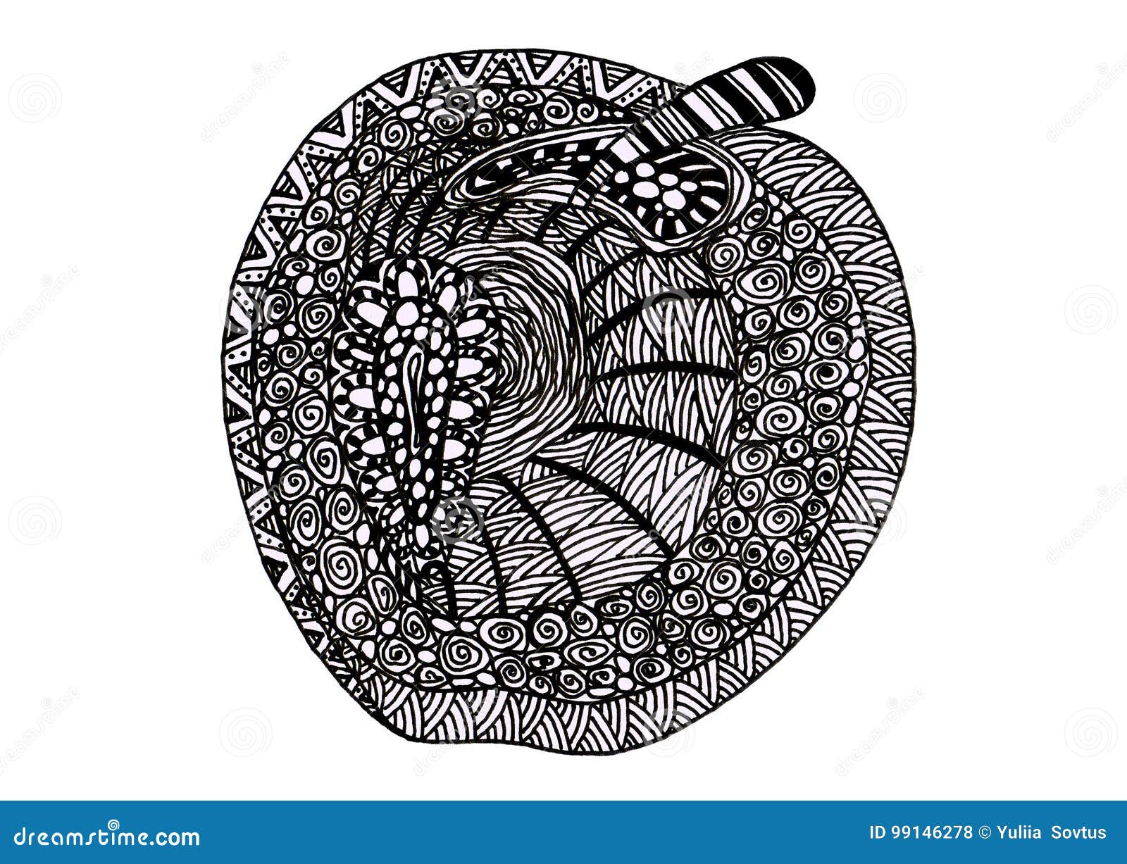 Hand drawn apple stock illustration. Illustration of vintage - 99146278