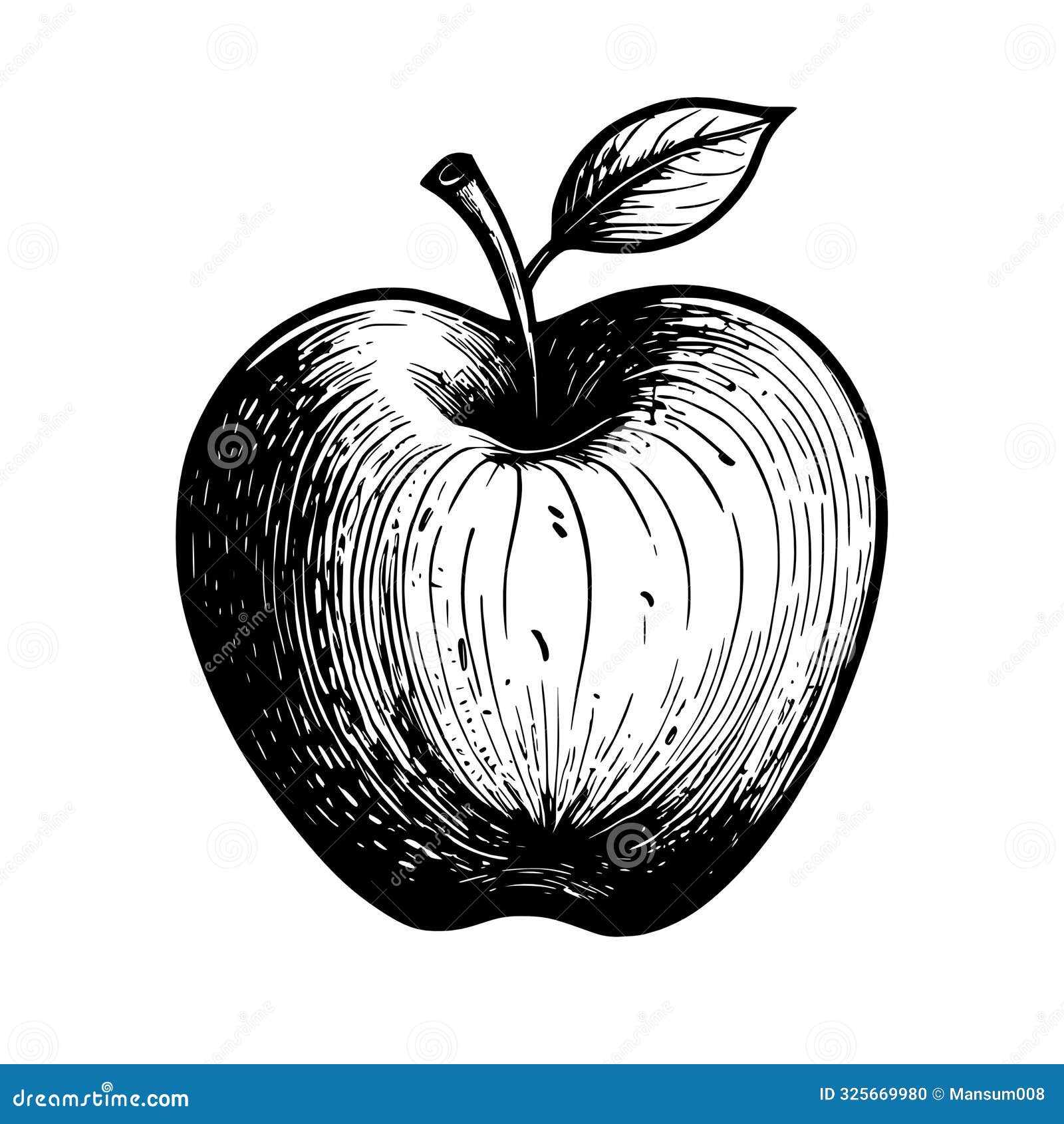 Hand Drawn Apple. Illustration Stock Illustration - Illustration of ...