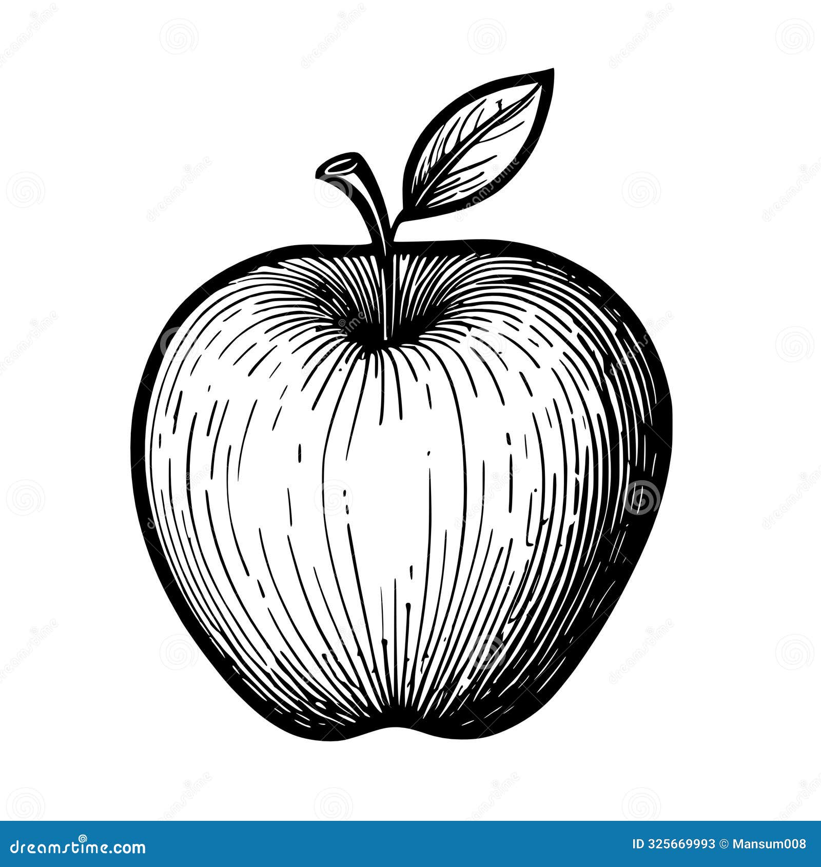 Hand Drawn Apple. Illustration Stock Illustration - Illustration of ...