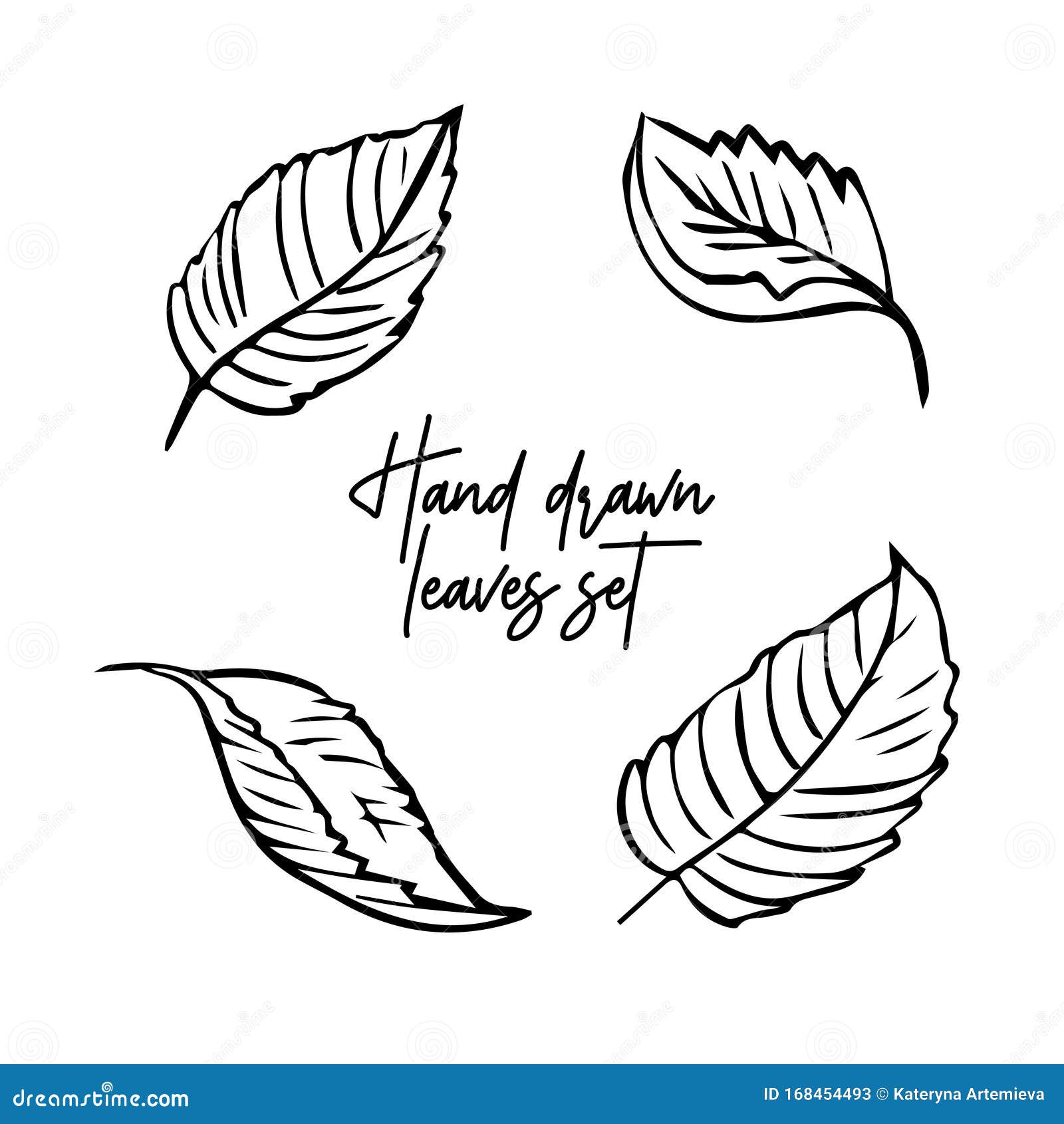 Hand Drawn Apple Leaves Set. Collection of Fruit Trees Leaves Stock ...