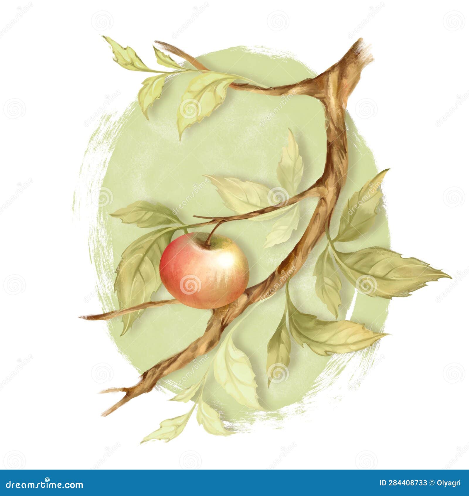 Hand Drawn Apple Tree Branch with Apple and Leaves. Stock Illustration ...