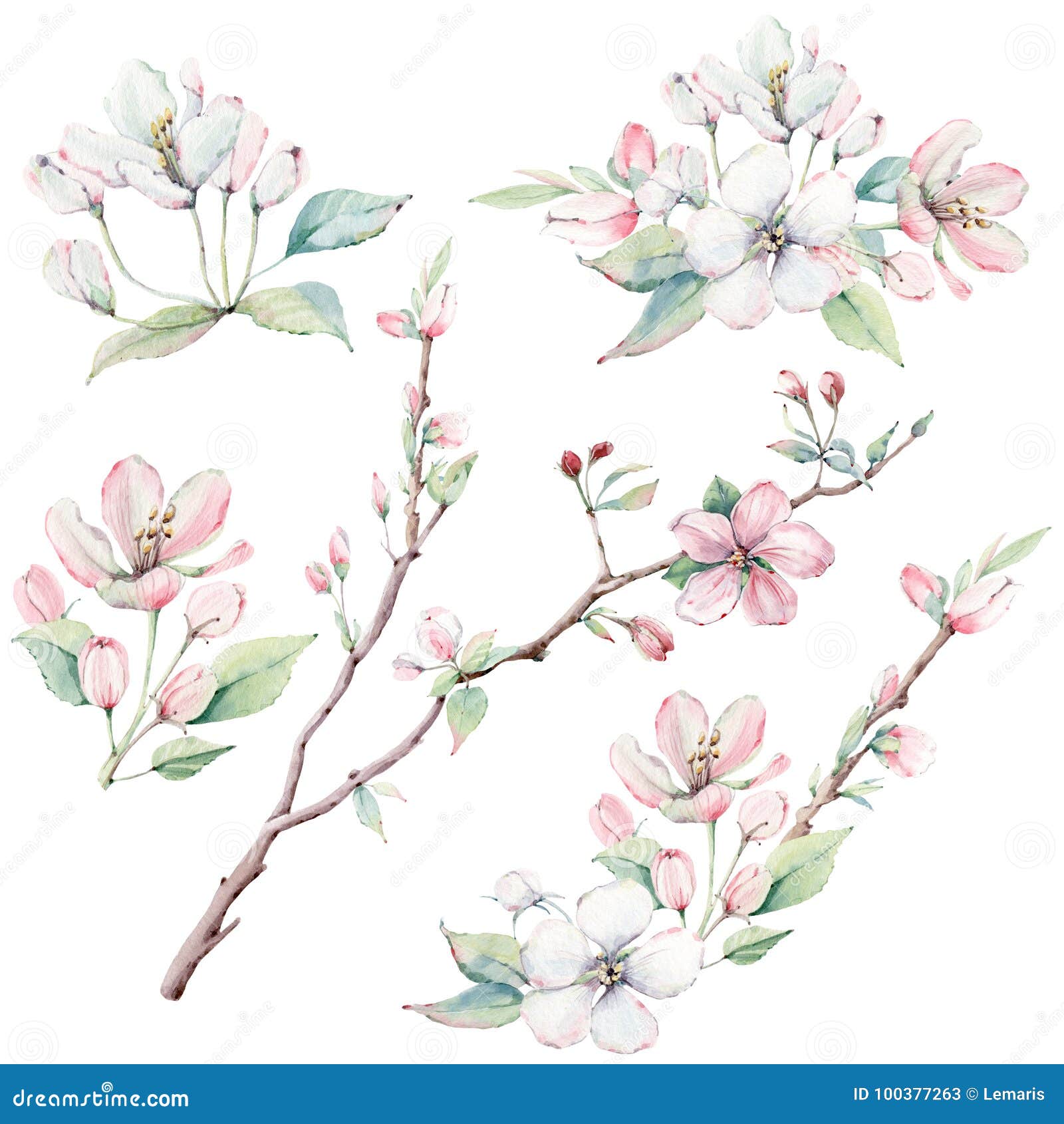Hand Drawn Apple Tree Branches and Flowers, Blooming Tree. Stock ...