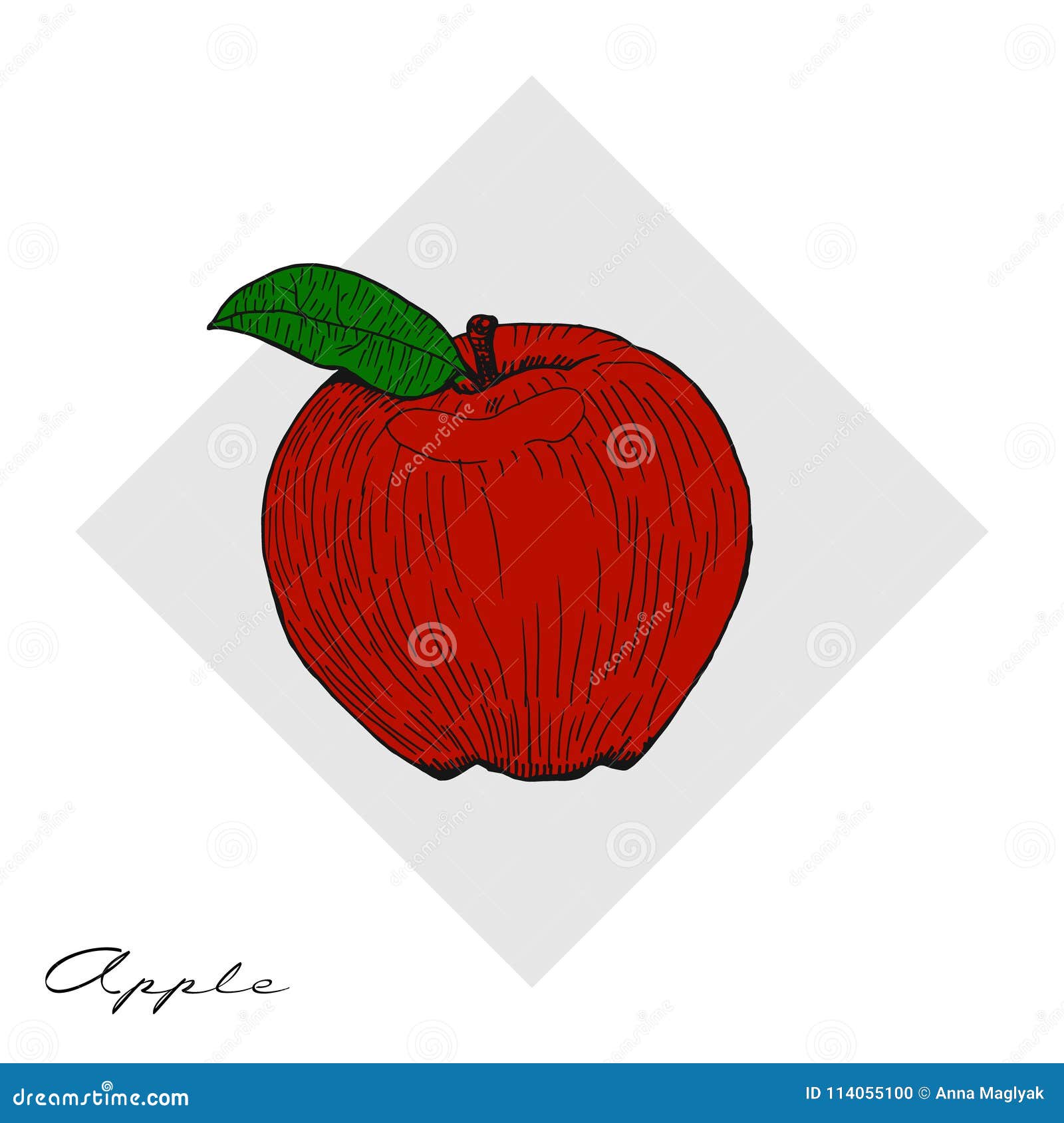 Hand Drawn Apples. Hand Drawn Vector. Stock Vector - Illustration of ...