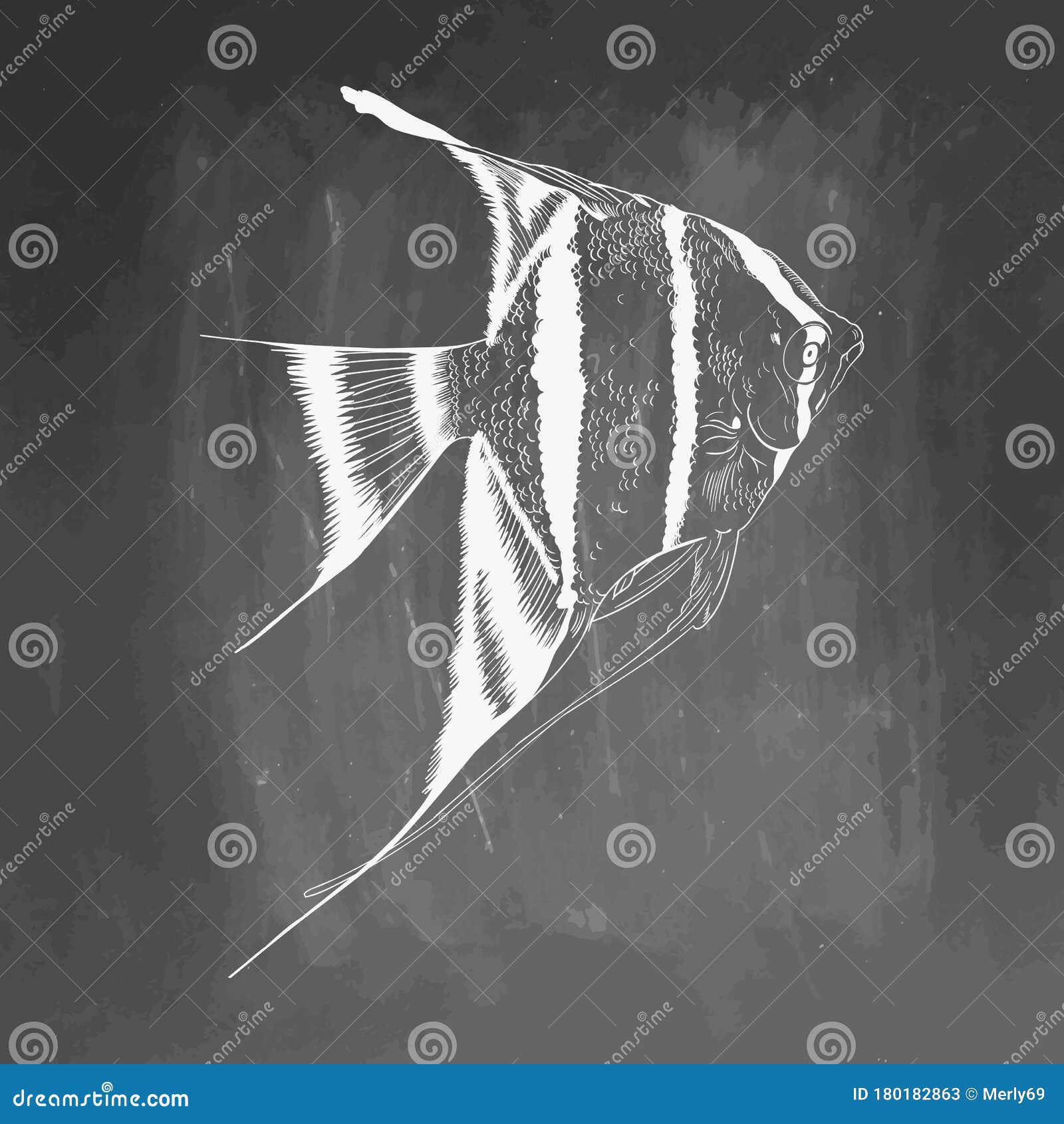 Hand Drawn Aquarium Fish Sketch. Elements Isolated on Chalkboard ...