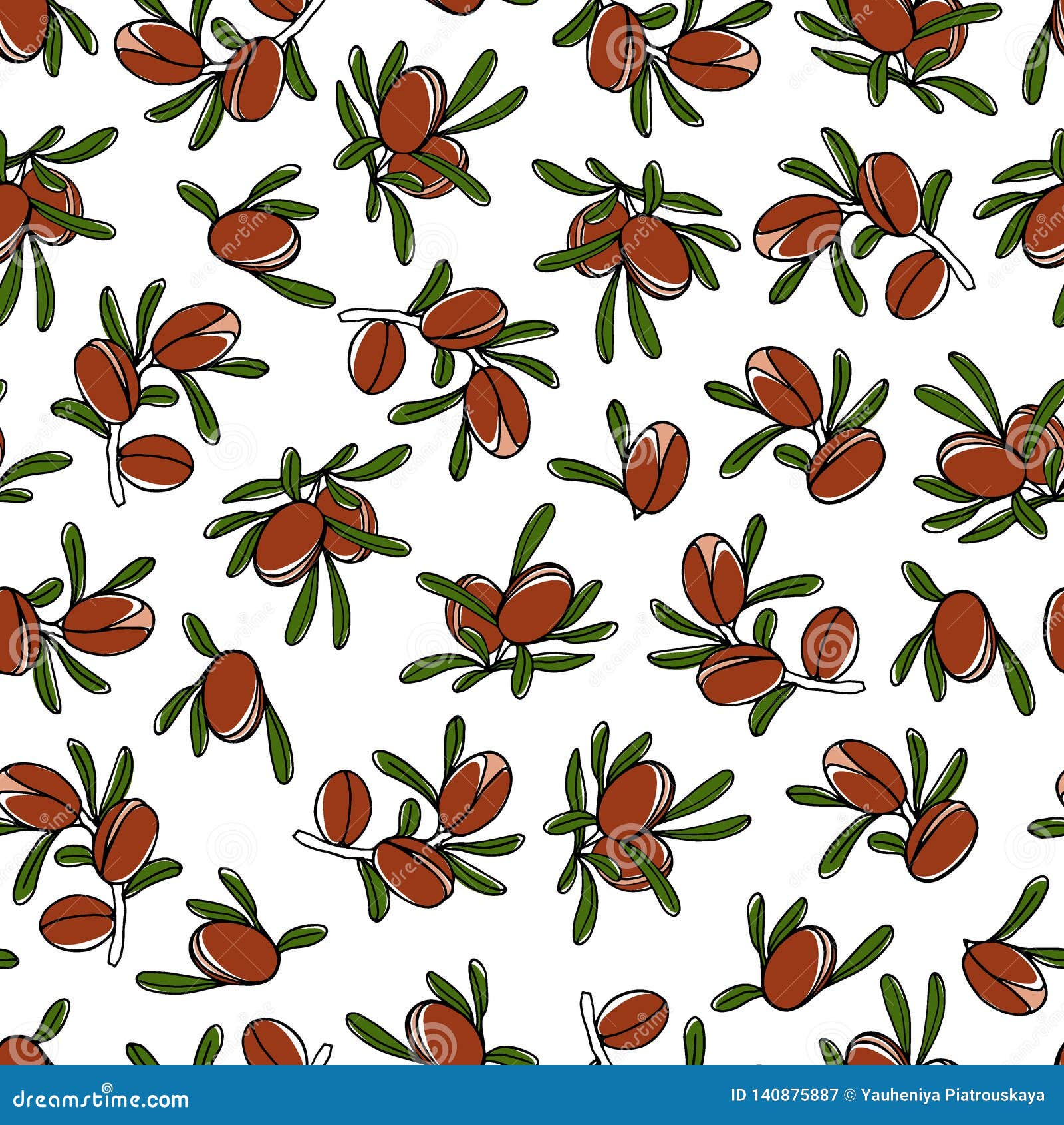 Hand drawn argan pattern stock vector. Illustration of ecology - 140875887