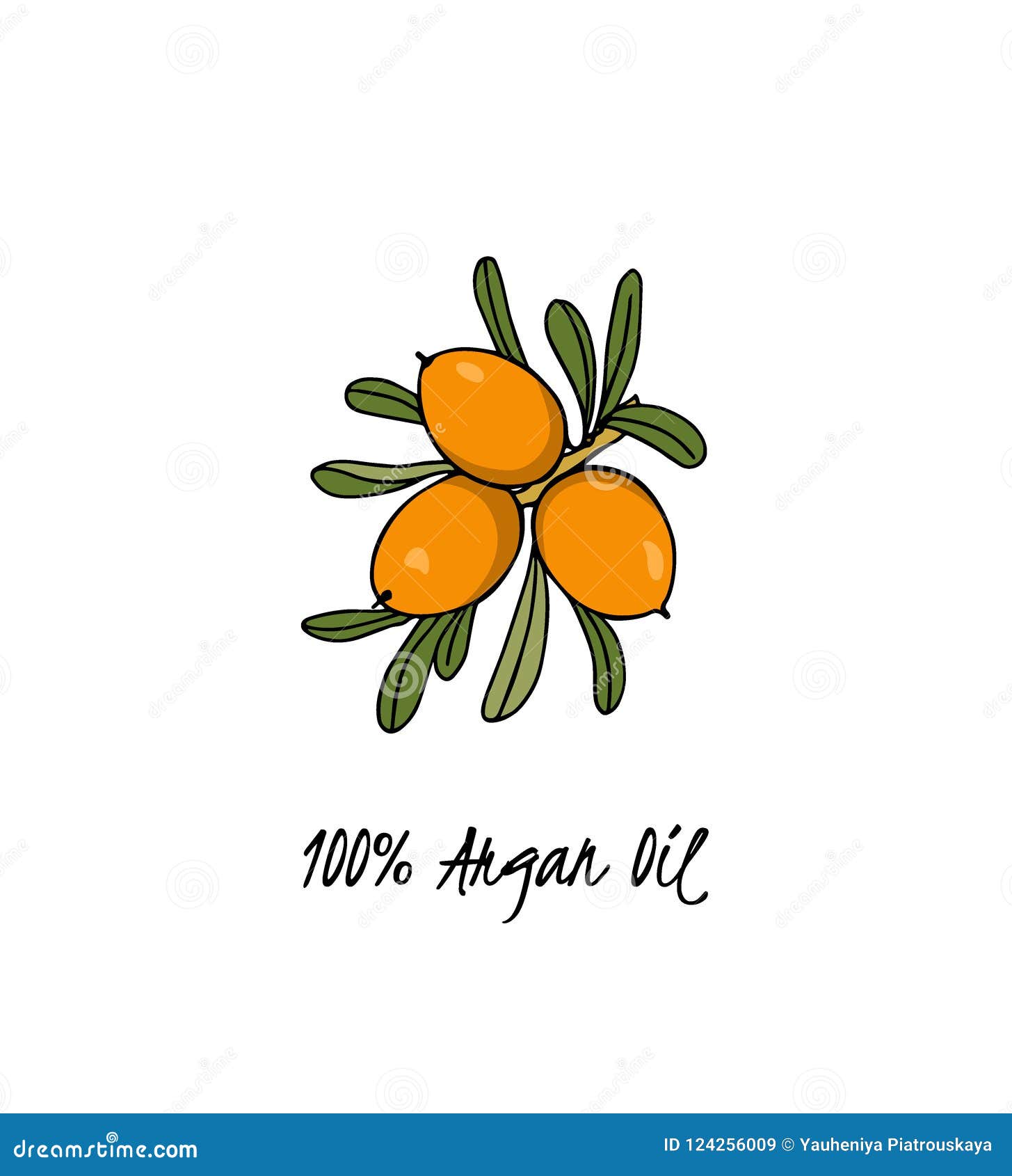 Hand Drawn Argan Tree Branch Stock Vector - Illustration of creative ...