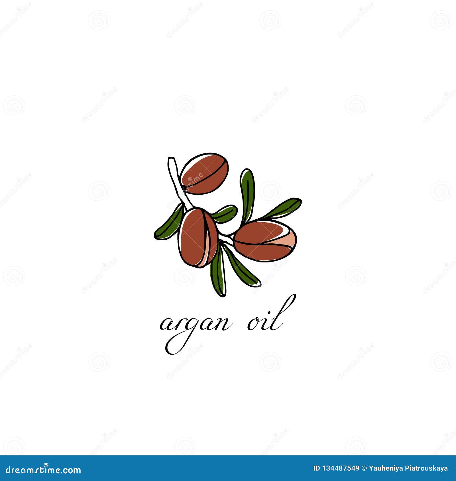 Hand Drawn Argan Tree Branch Stock Vector - Illustration of care ...