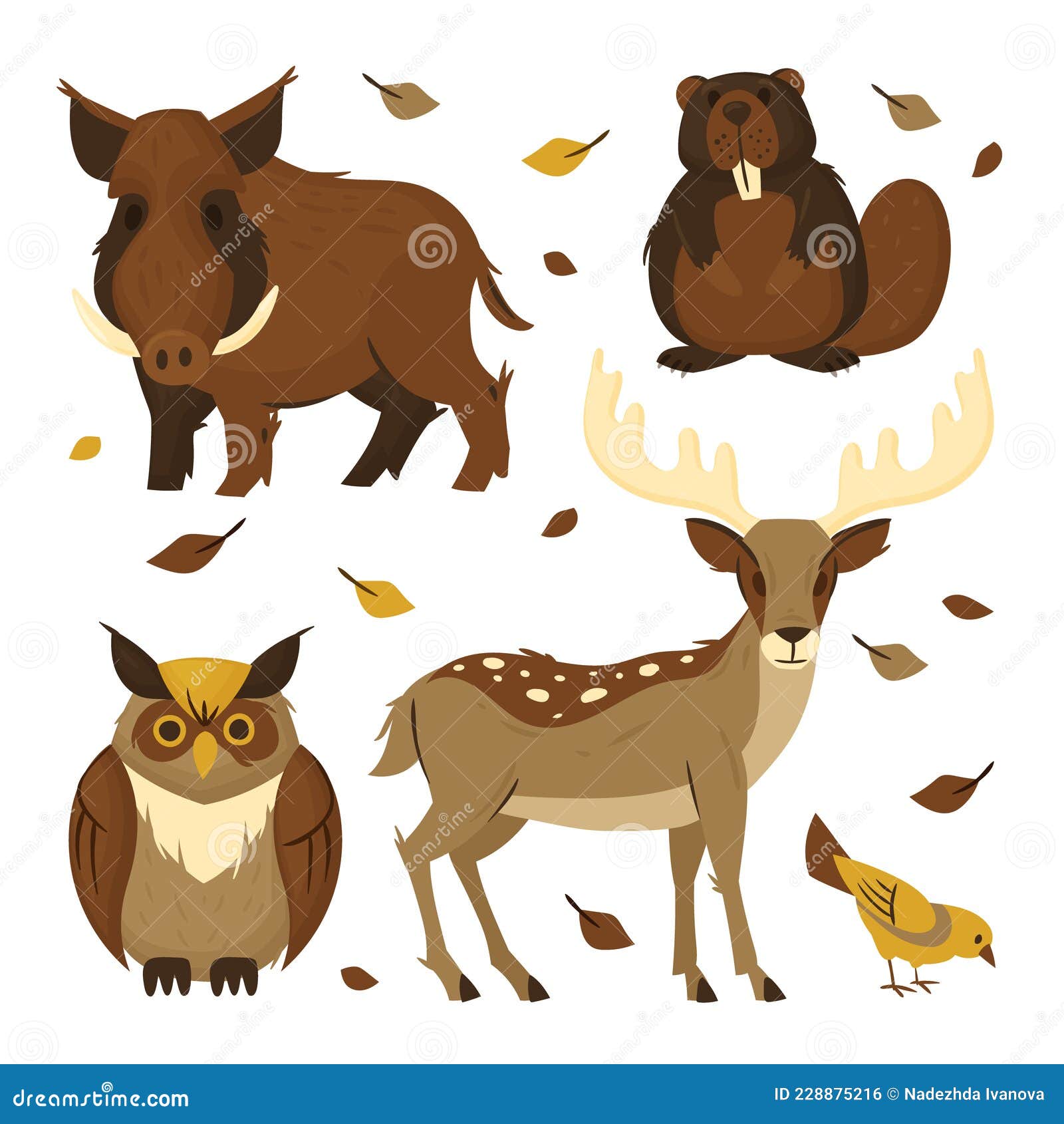 Hand Drawn Autumn Animals Collection Vector Illustration. Stock Vector ...