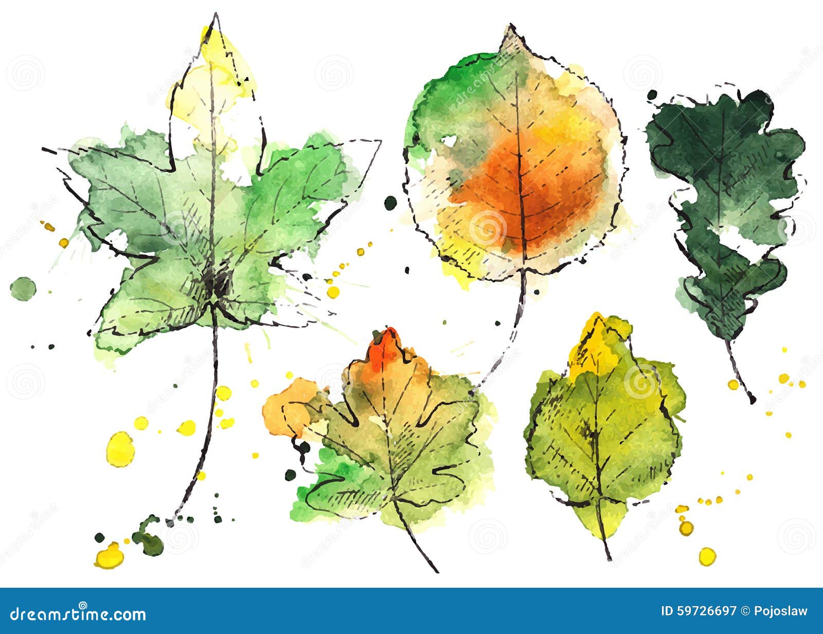 Hand drawn autumn leaves stock vector. Illustration of colorful - 59726697