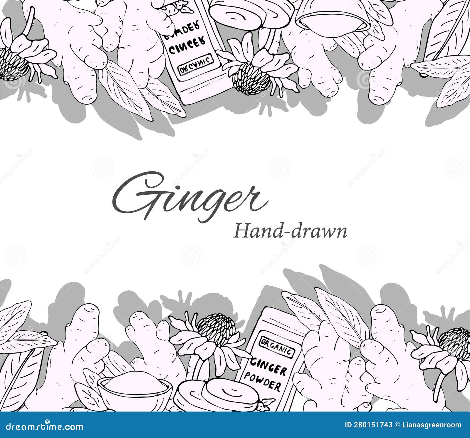 Hand-drawn Background of Ginger Set Stock Vector - Illustration of ...