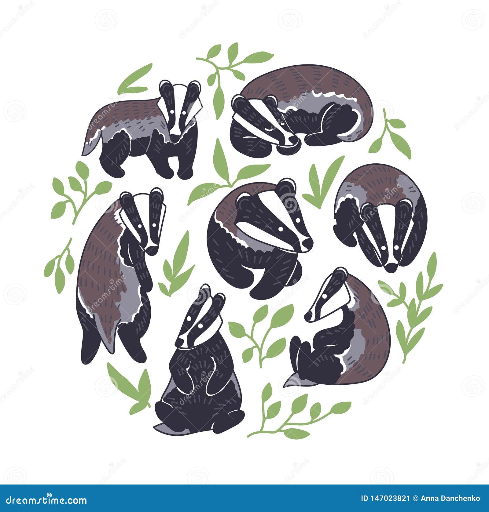 Hand Drawn Badger Vector Illustration Stock Vector - Illustration of ...