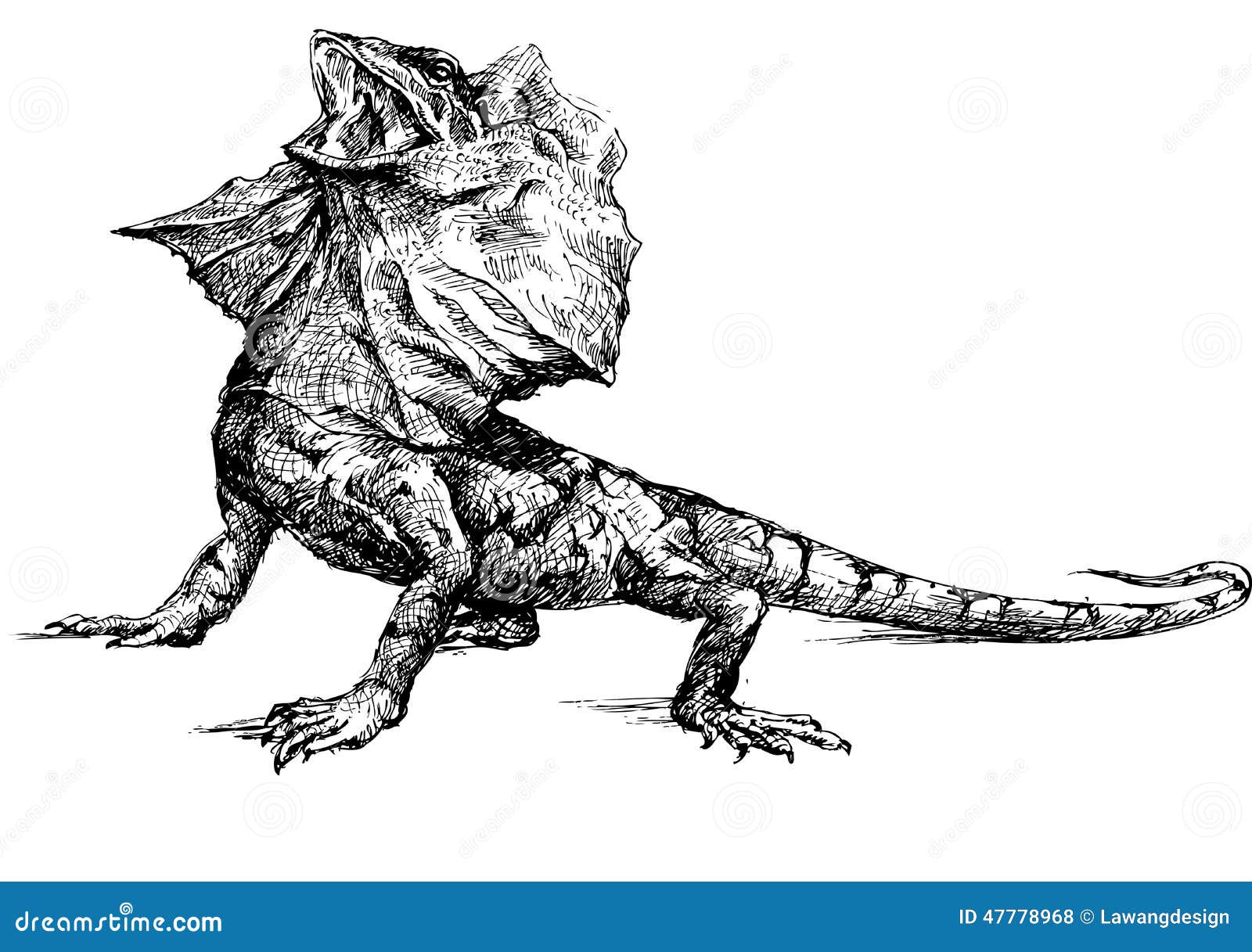 Basilisk Basiliscus Mitratus . Lizard Hand Drawn Graphic Isolated ...