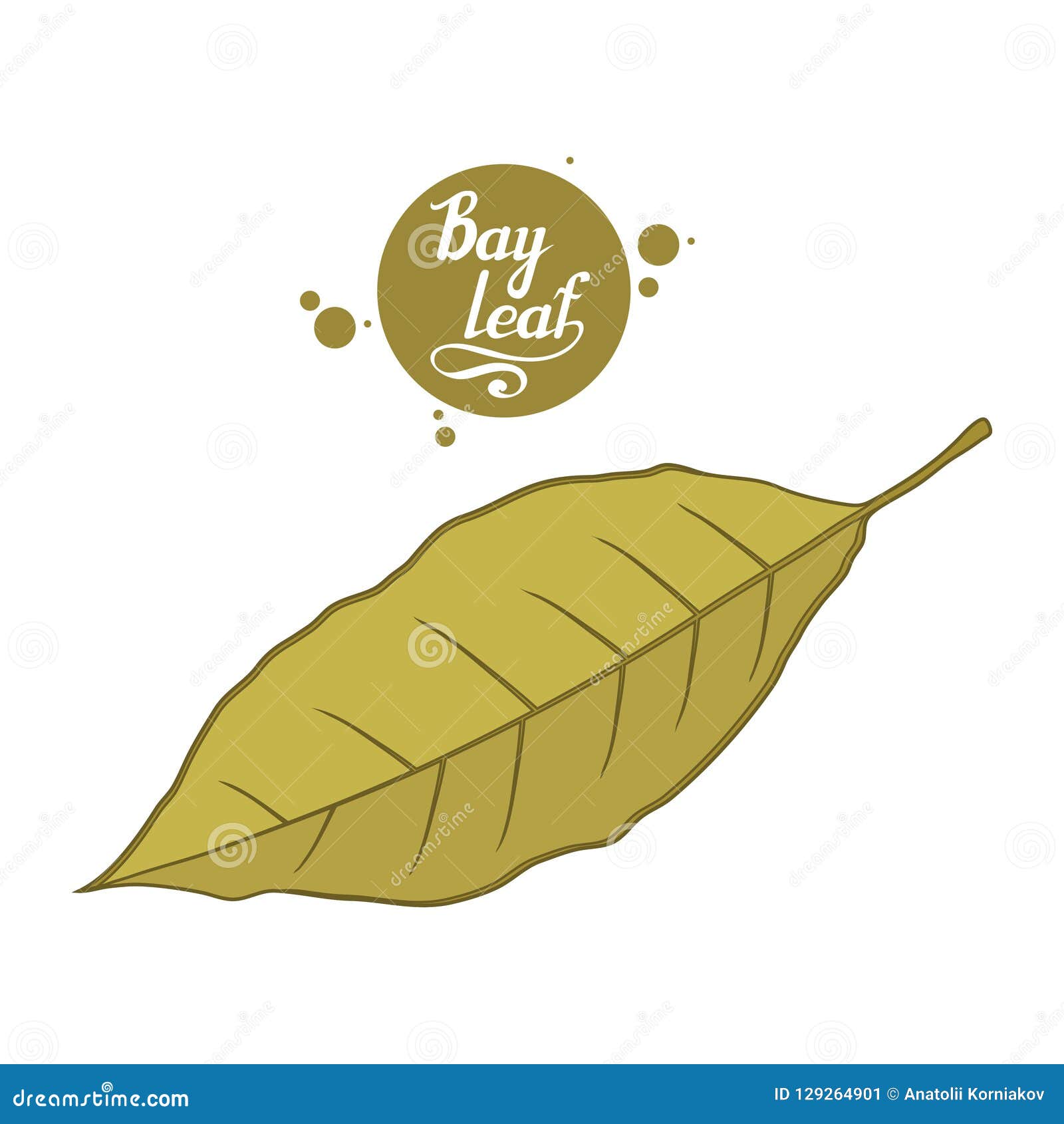 Hand Drawn Bay Leaf, Spicy Ingredient, Bay Leaf Logo, Healthy Organic ... Hand Drawn Bay Leaf, Spicy Ingredient, Bay Leaf Logo, Healthy Organic ...