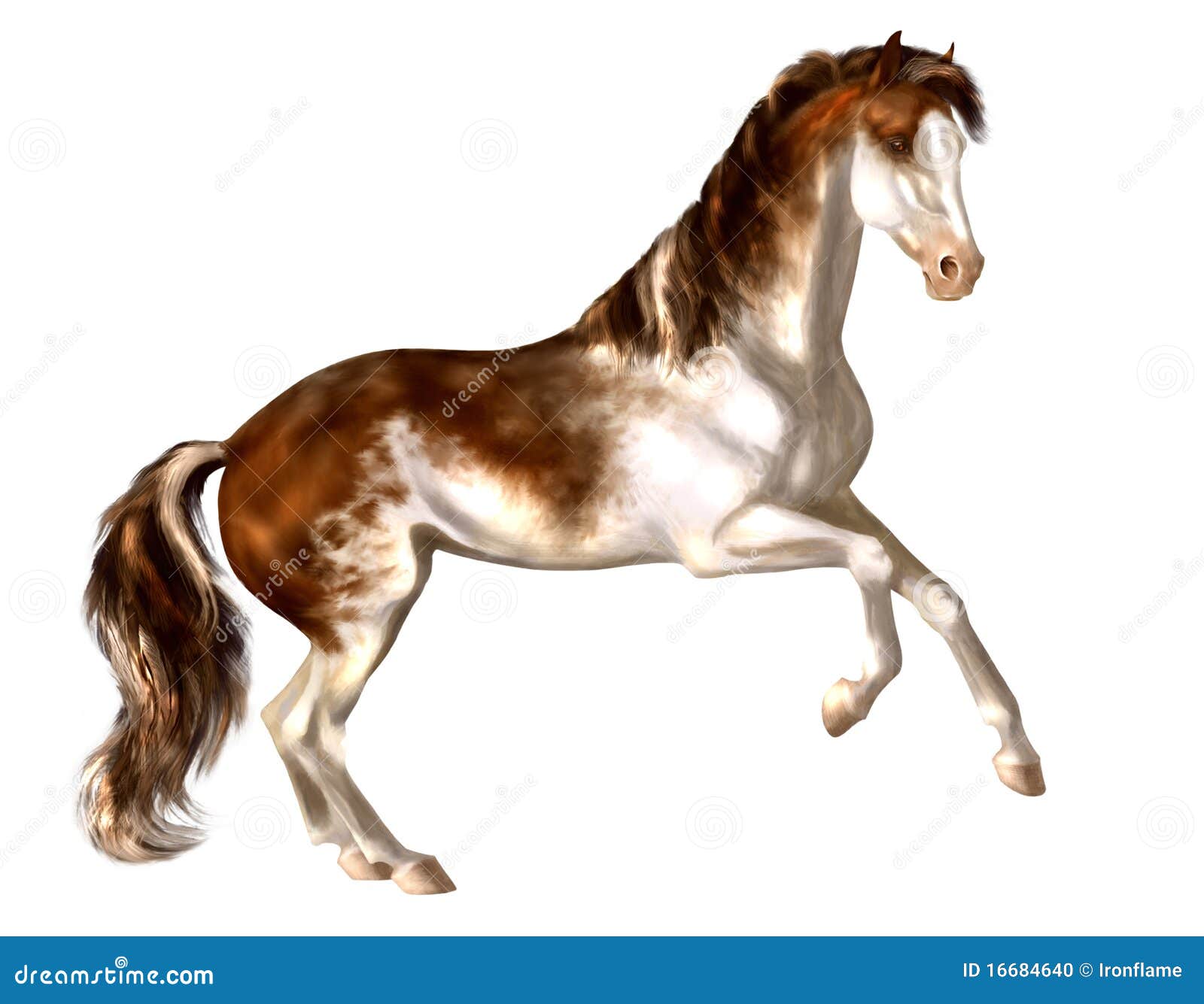 Piebald, Skewbald, Pinto Horse Color Chart On White. Equine Coat Colors ...