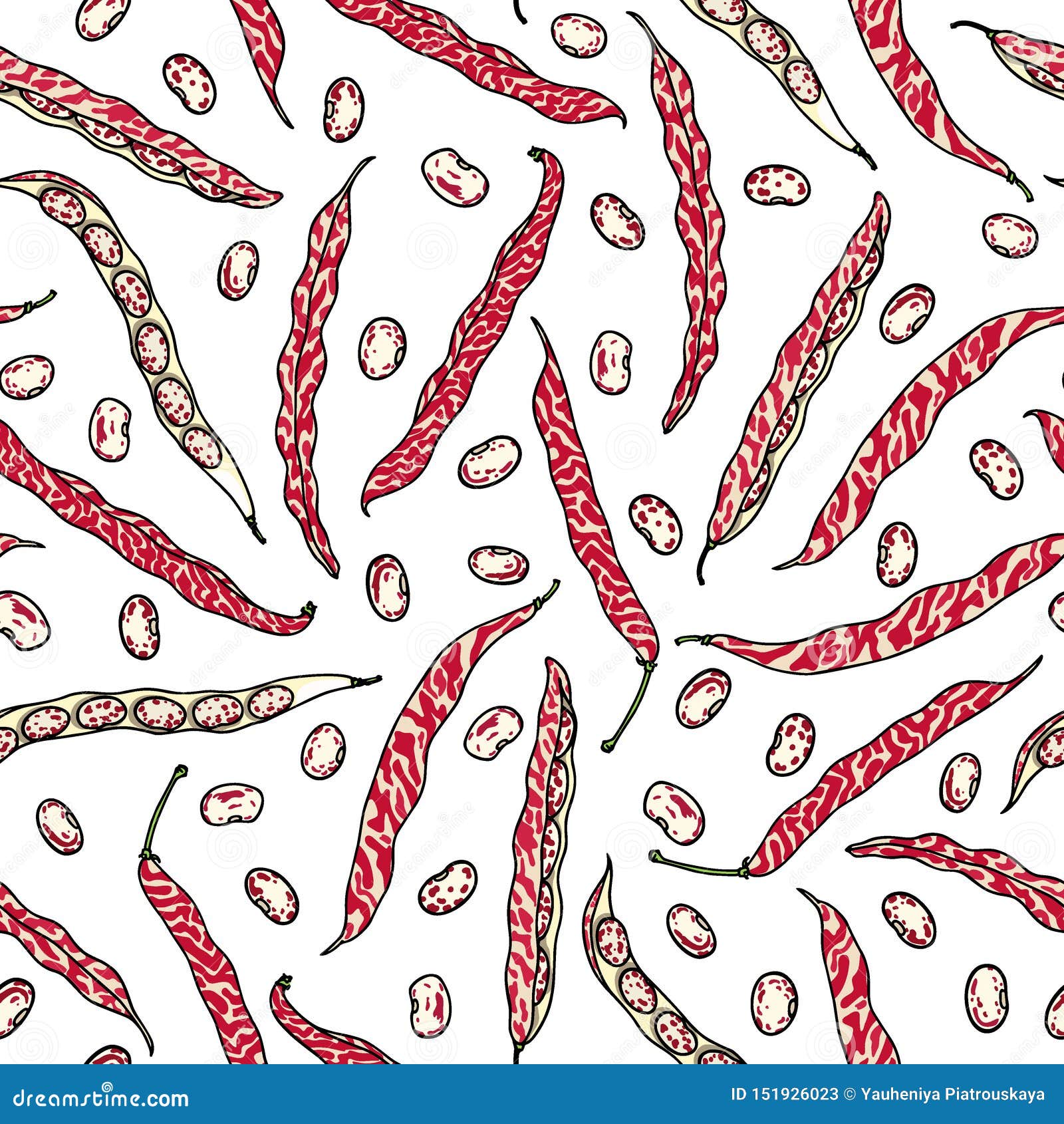 Hand drawn bean pattern stock vector. Illustration of healthy - 151926023