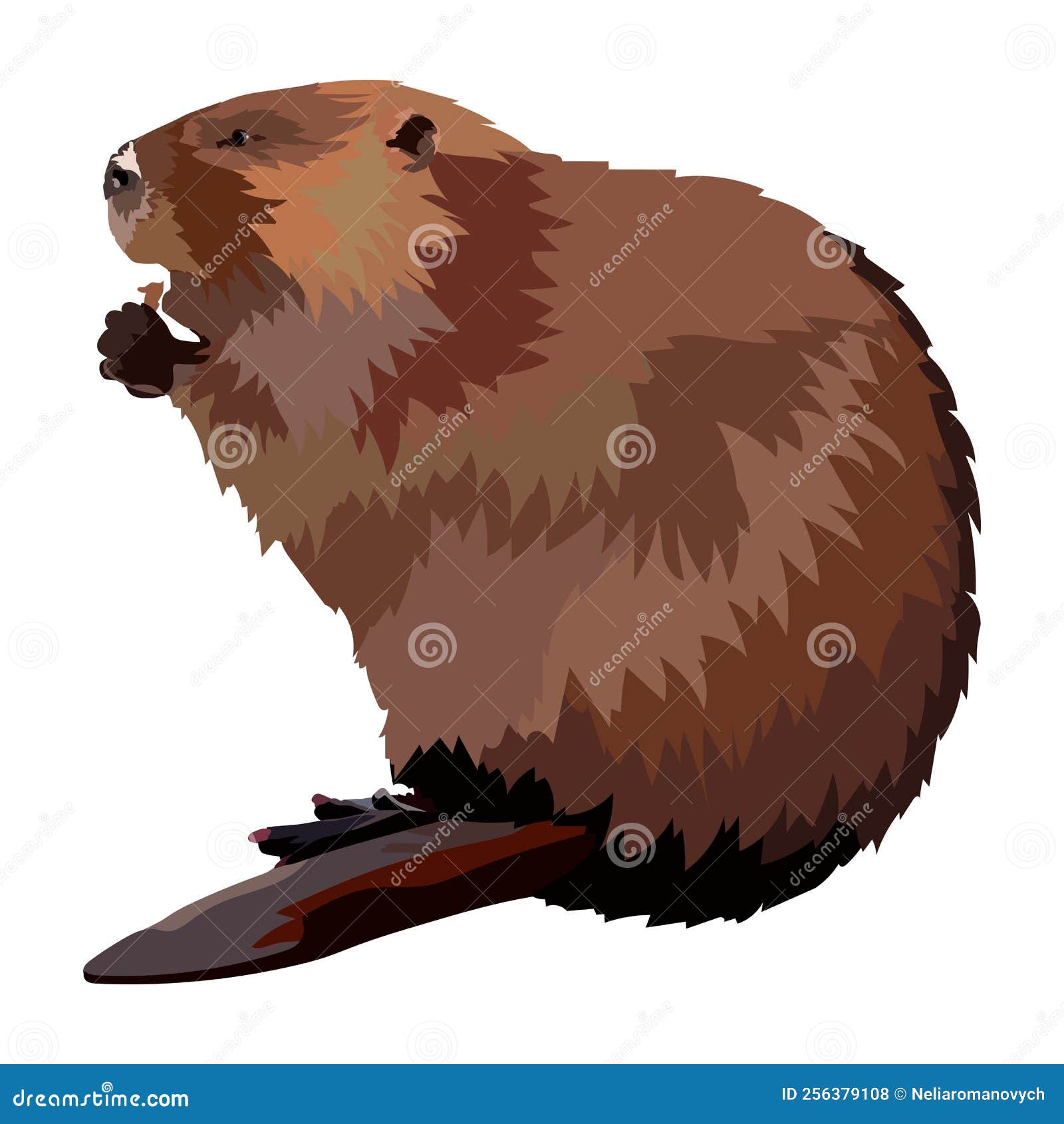 Hand Drawn Beaver Realistic Icon.Vector Illustration. Stock Vector ...