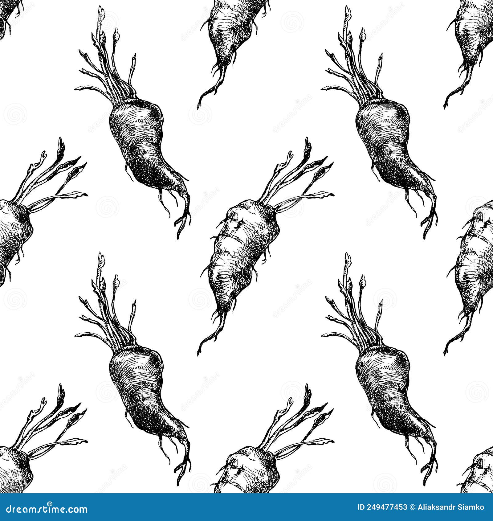 Hand Drawn Beetroot with Leafs. Sketch Vintage Seamless Pattern on ...
