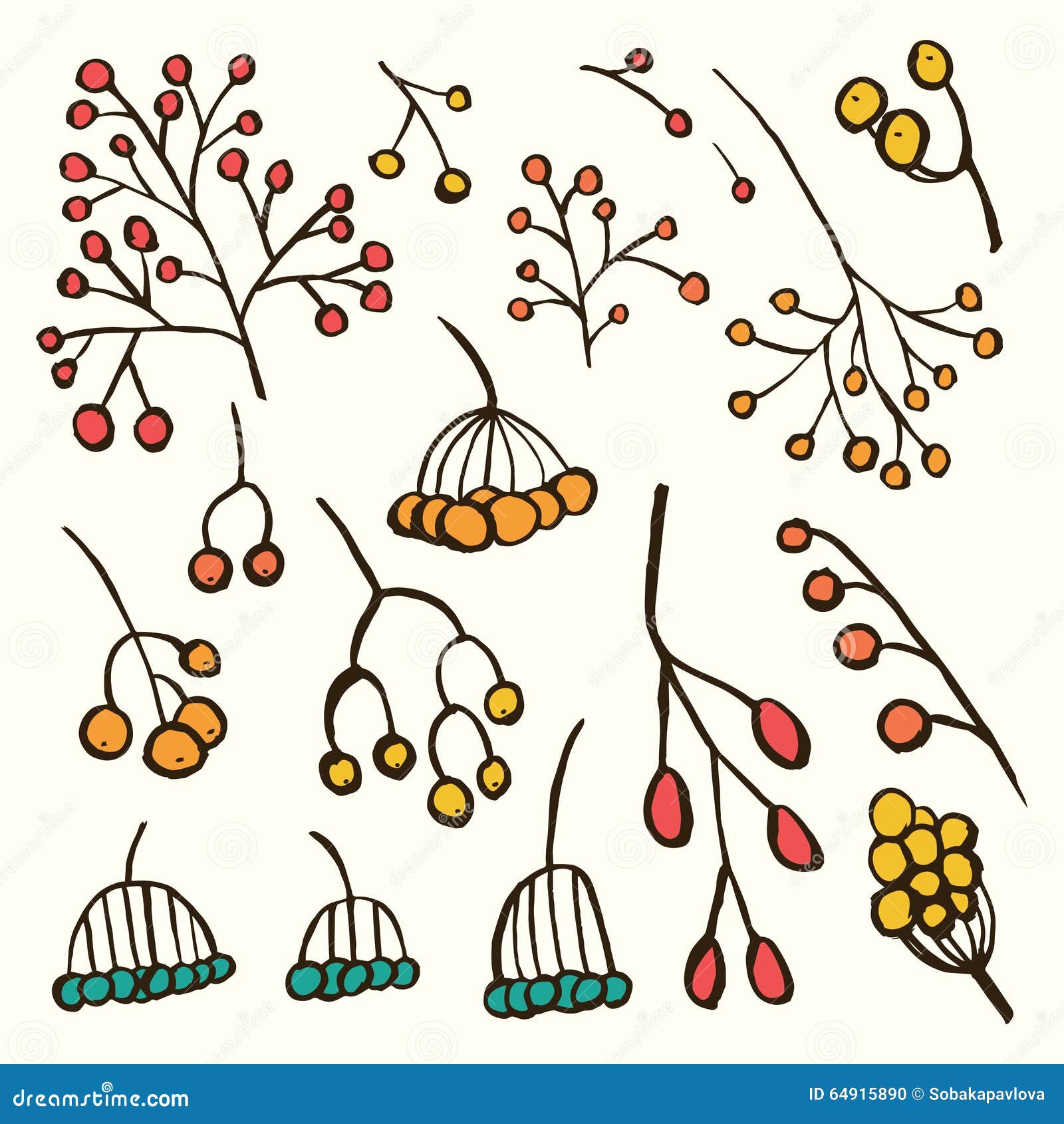 Hand drawn berries set stock vector. Illustration of fantasy - 64915890