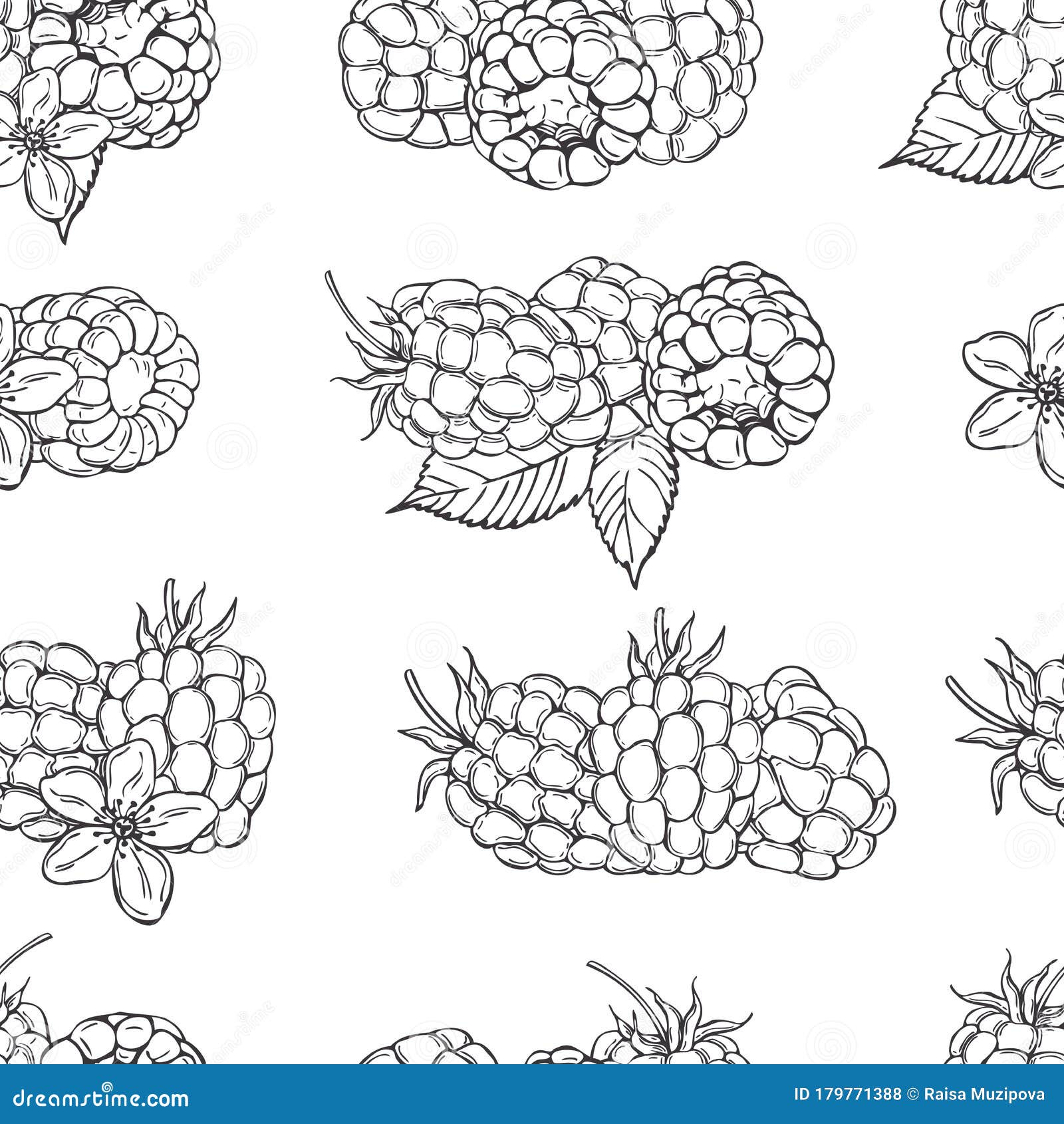 Hand Drawn Raspberry. Vector Seamless Pattern Stock Vector - Illustration of fruits, nature ...