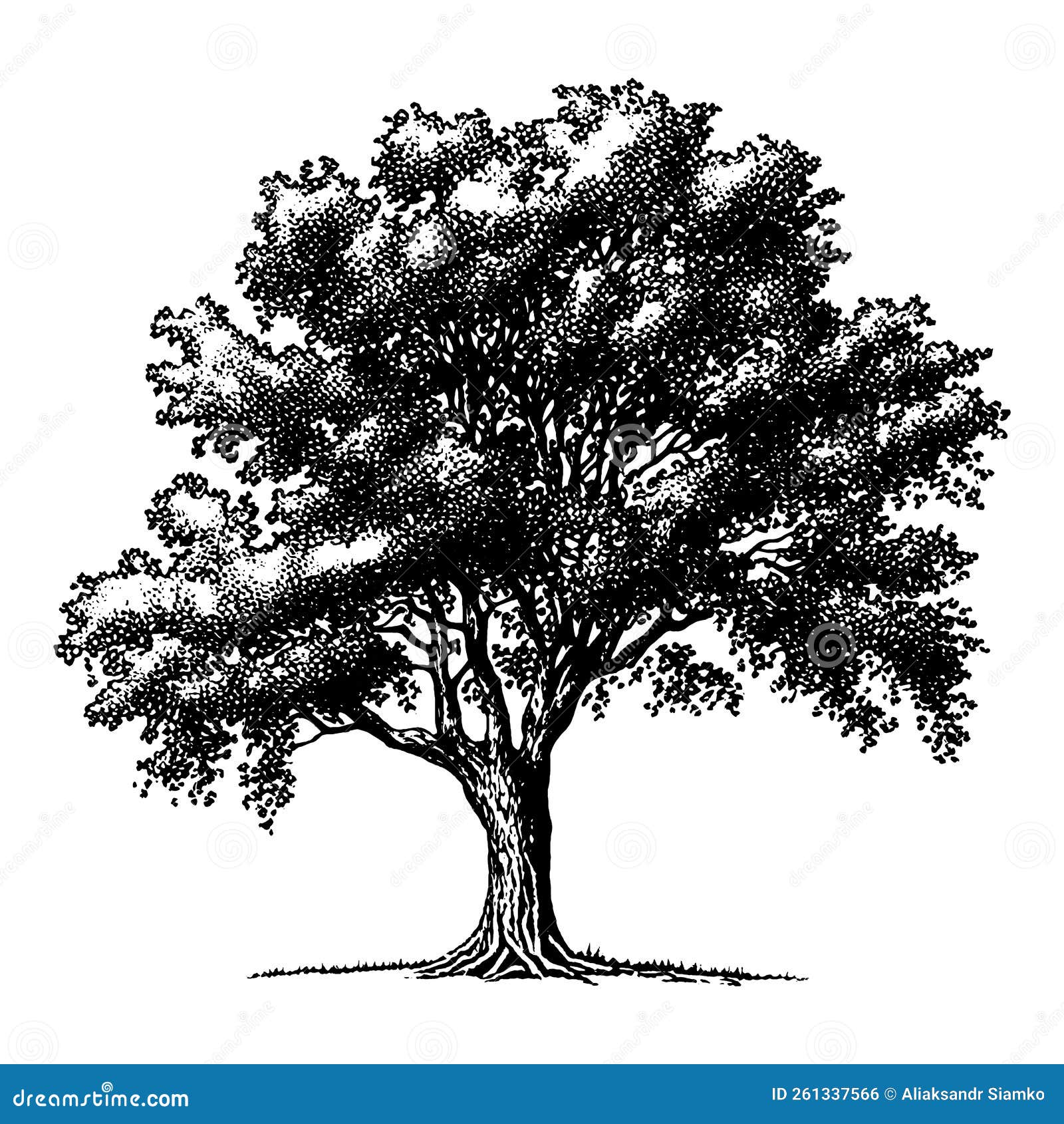 Hand Drawn Big Tree Illustration Stock Vector - Illustration of sketch ...