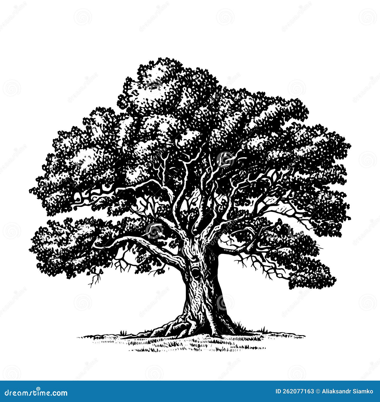 Hand Drawn Big Tree Illustration Stock Vector - Illustration of organic ...