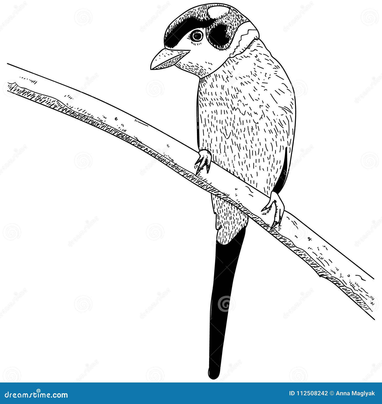 Hand Drawn Bird Vector Illustration Stock Vector - Illustration of ...