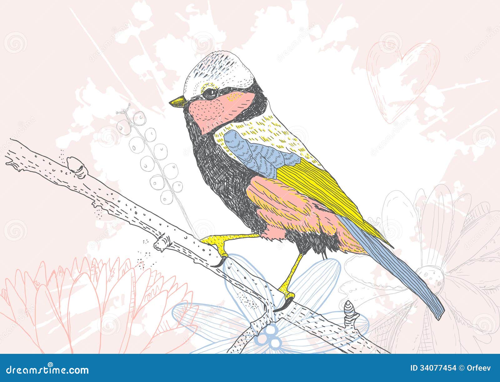 Hand drawn bird stock vector. Illustration of berry, flowers - 34077454