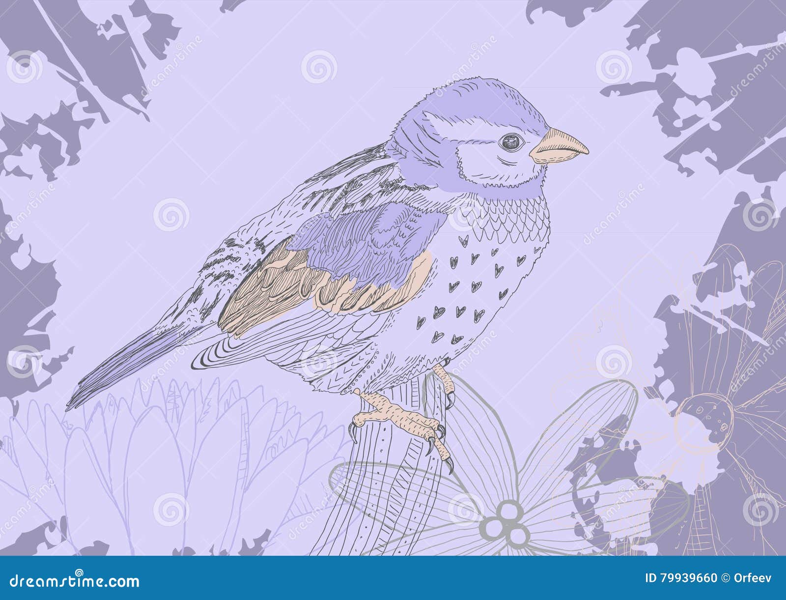 Hand drawn bird stock vector. Illustration of feather - 79939660
