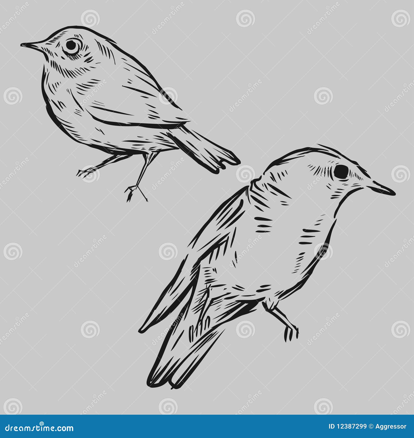 Hand Drawn Birds Cartoon Vector | CartoonDealer.com #12387299