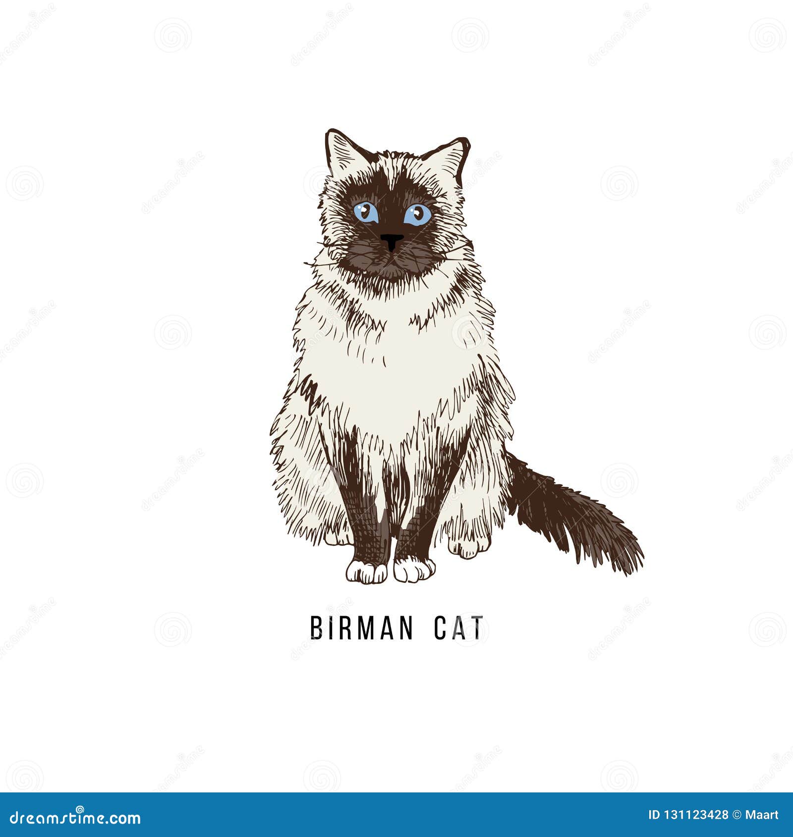 Birman Cartoons, Illustrations & Vector Stock Images - 781 Pictures to ...