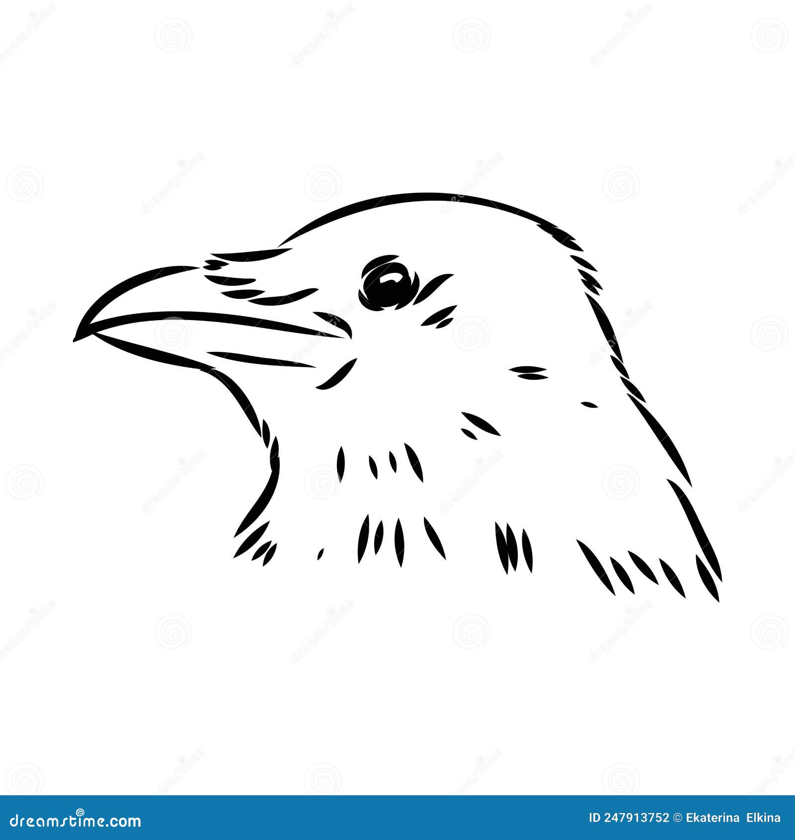 Hand-drawn Black Crow. Raven, Bird Sketch, Vector Illustration Stock ...