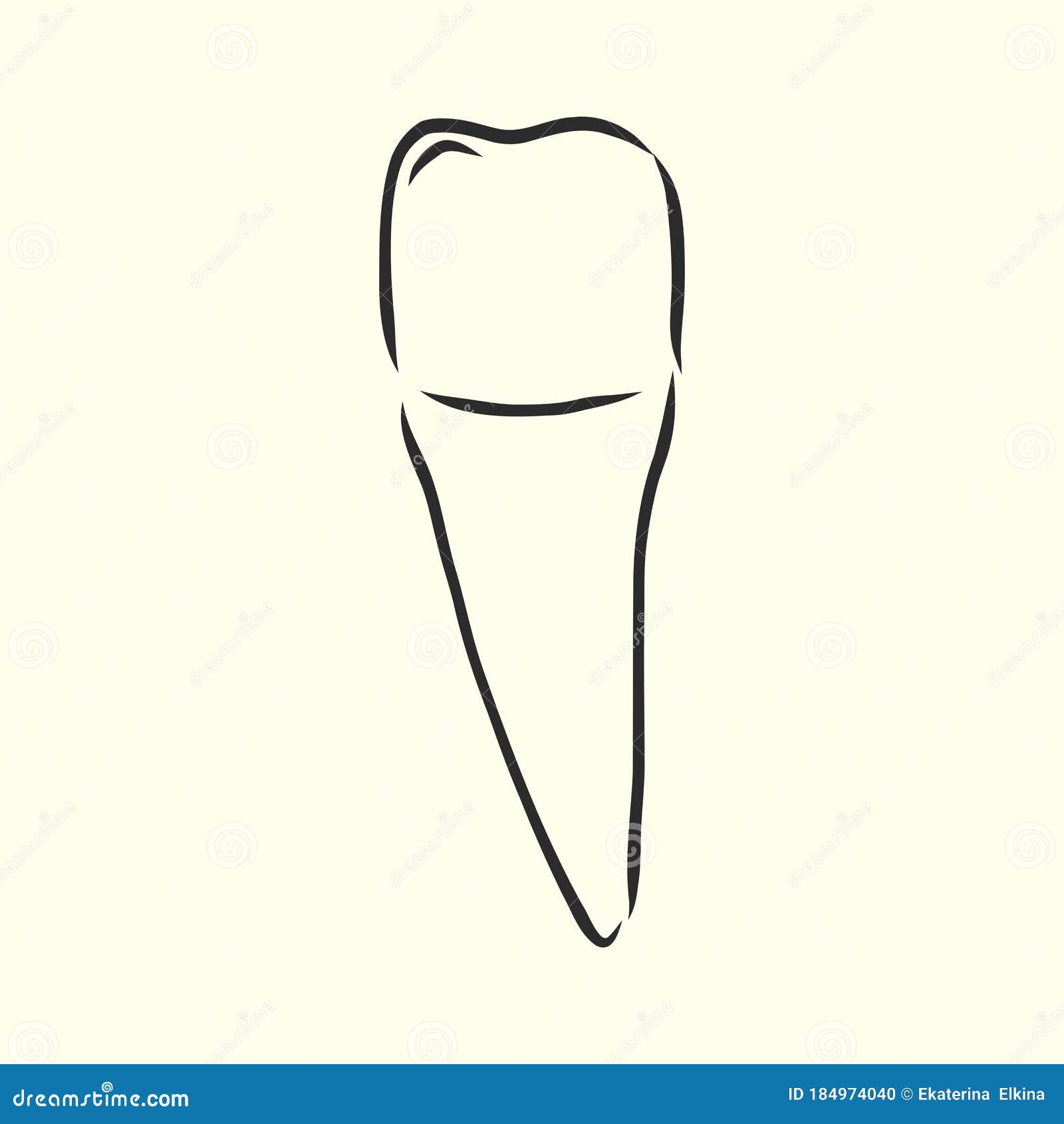 Hand-drawn Black Lines Sketch Molar, Tooth. Doodle Drawing Stock ...