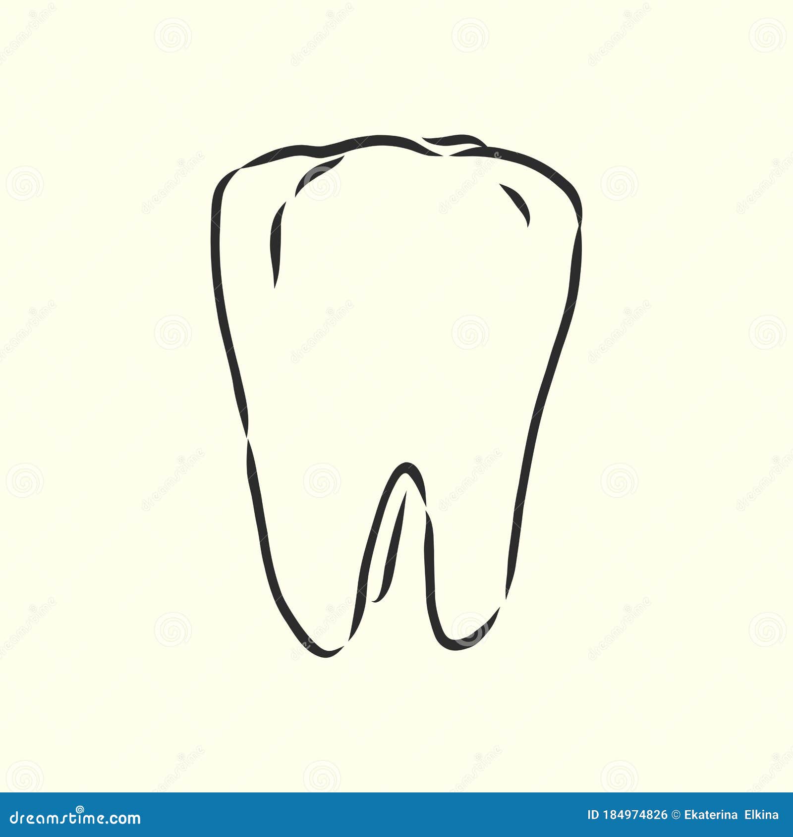 Hand-drawn Black Lines Sketch Molar, Tooth. Doodle Drawing Stock ...