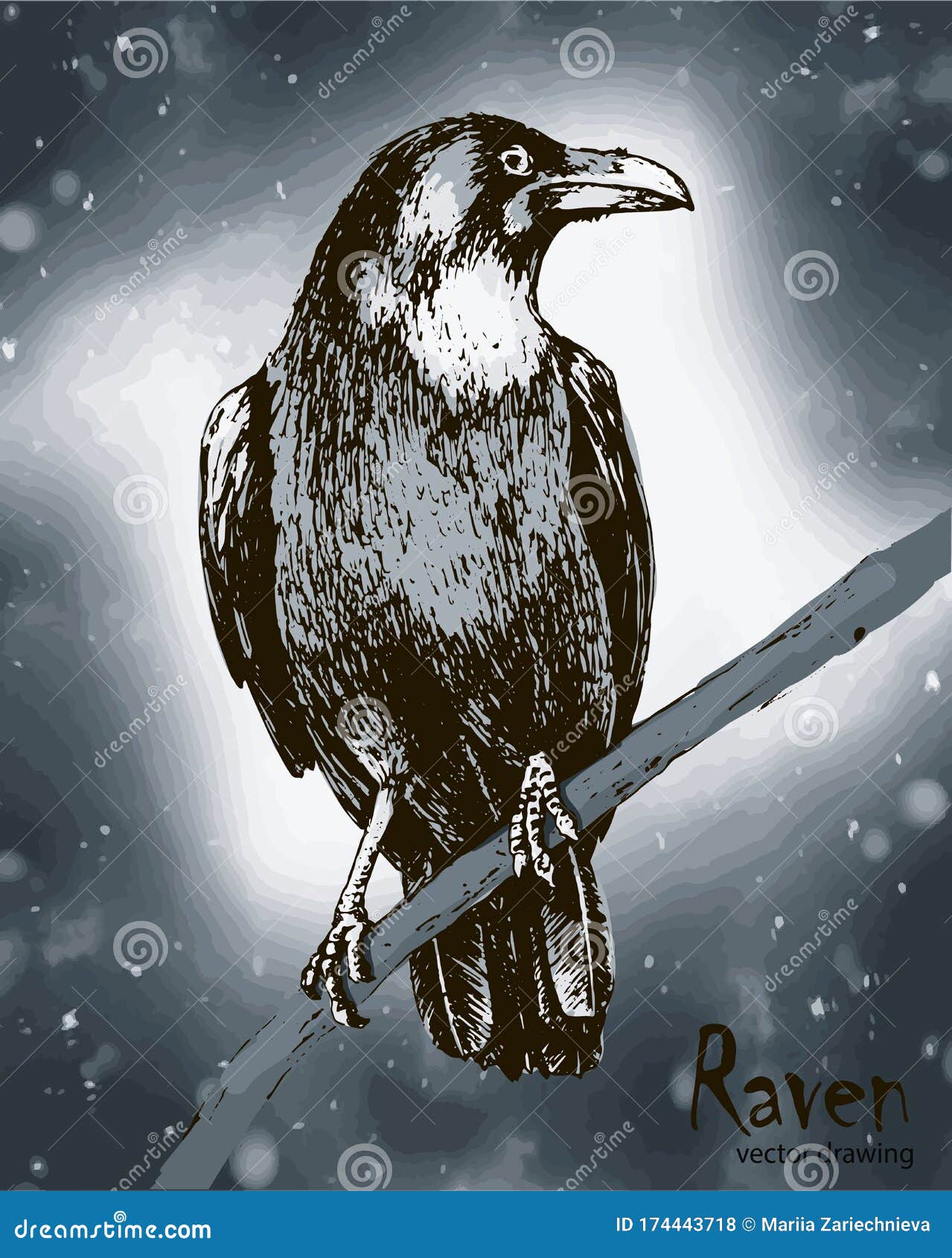 Hand Drawn Black Raven Sitting on a Branch Vector Drawing Stock Vector ...