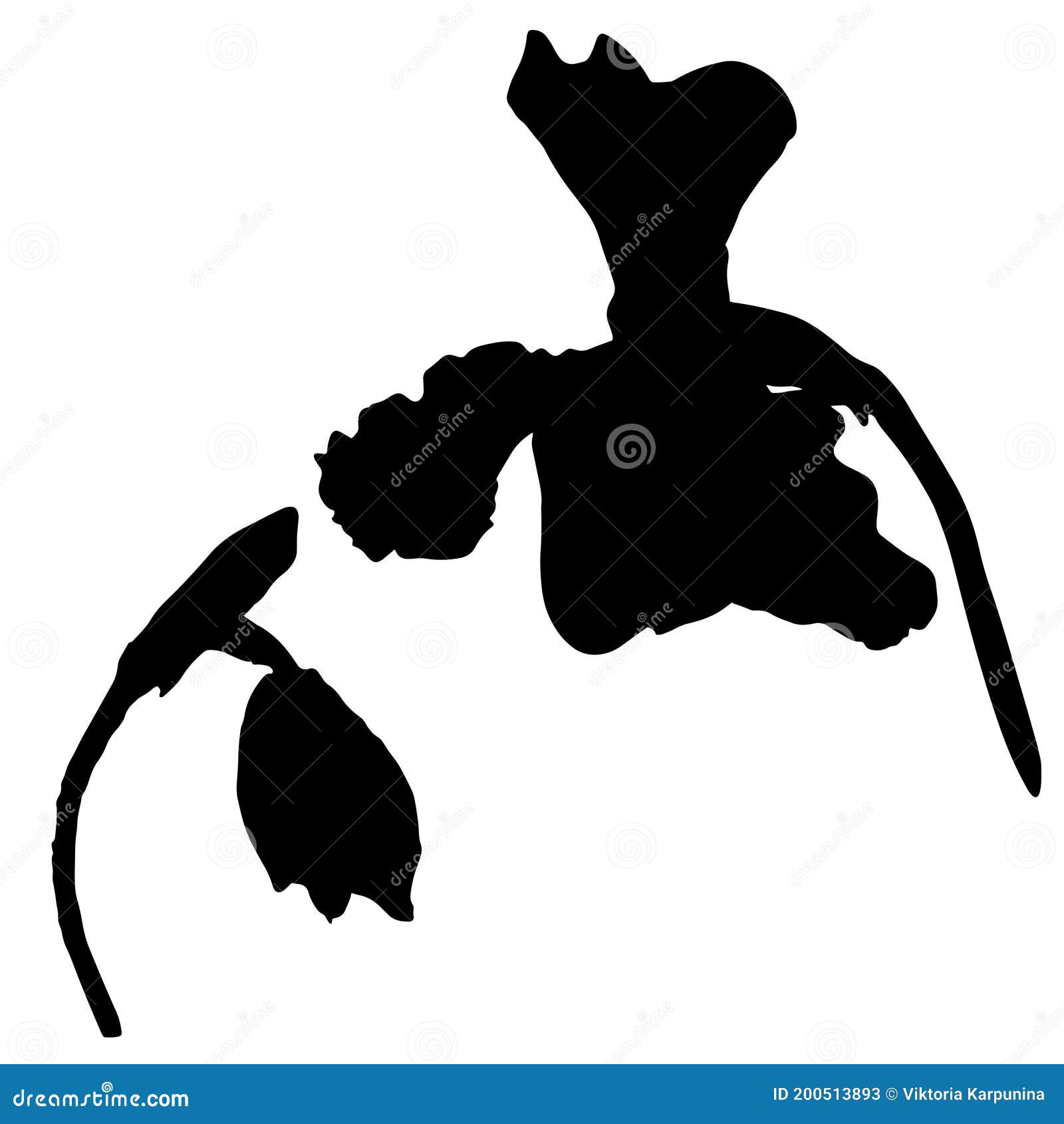 Hand Drawn Black Vector Silhouette Of Orchid Stock Illustration