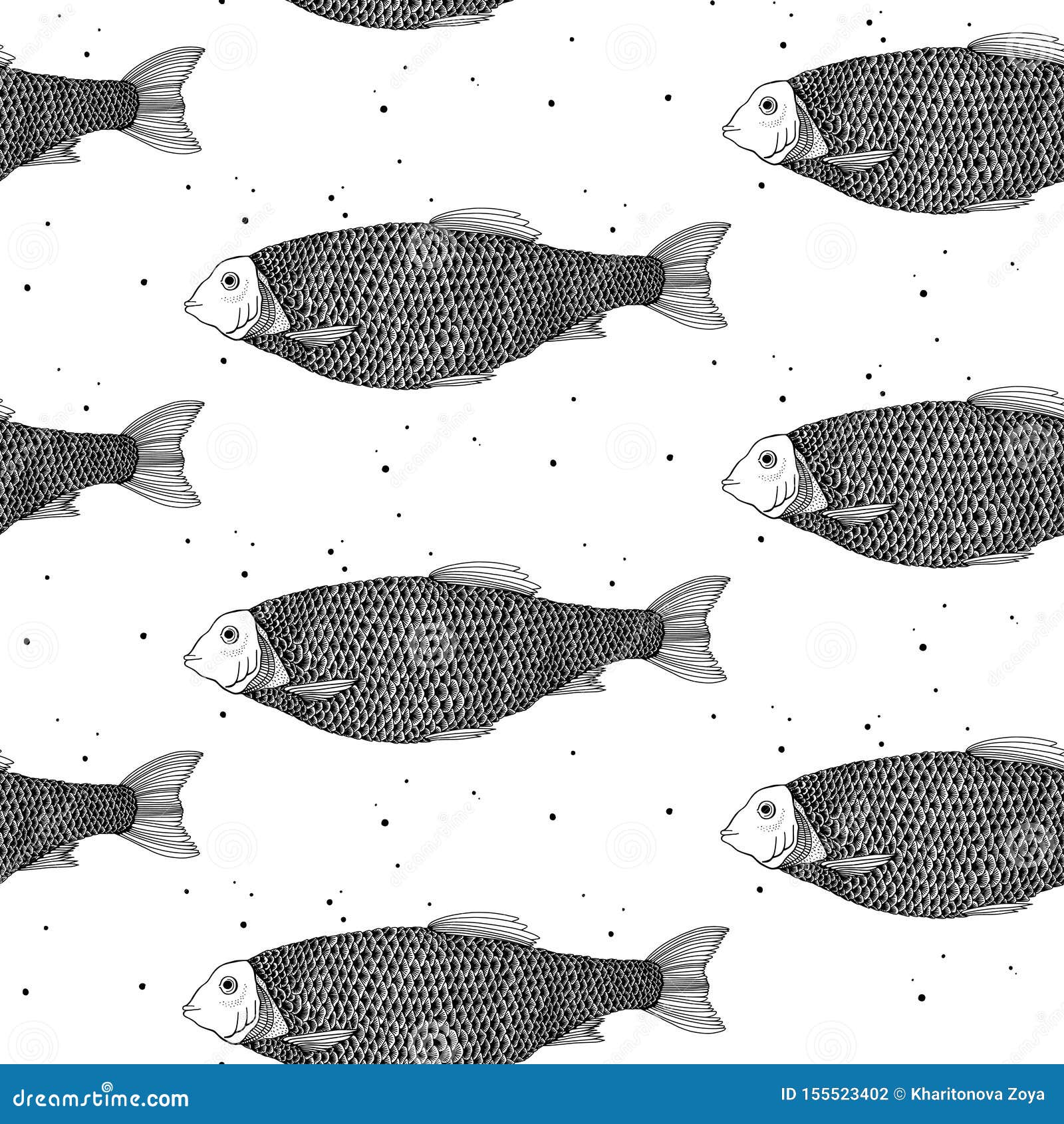 White Bream. Hand Drawn Black Pencil Realistic Illustration. Stock ...