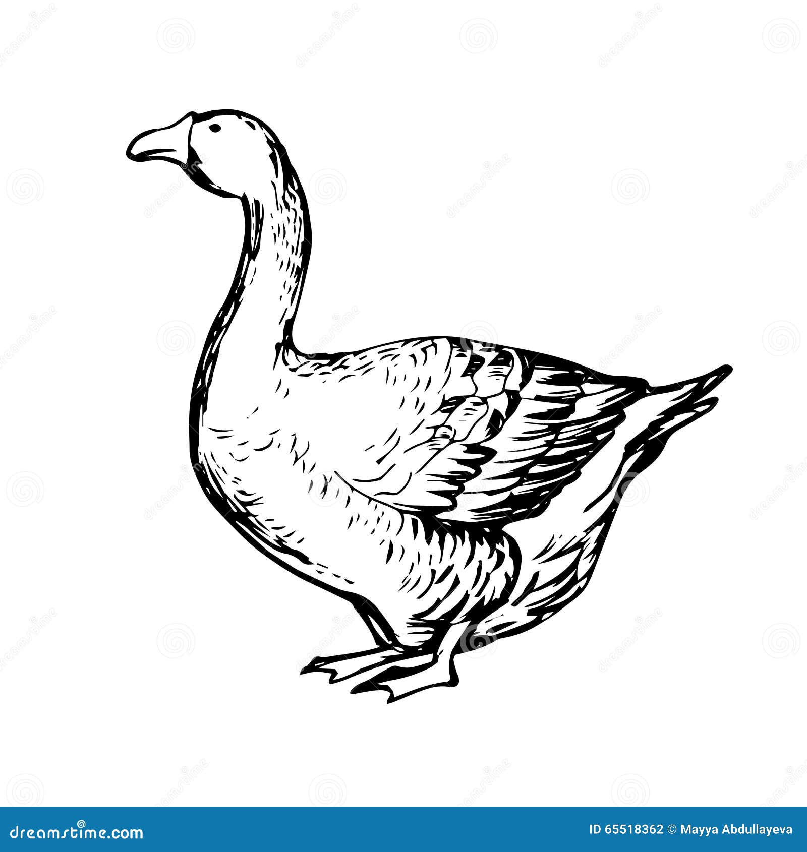 White Goose Bird Sitting Cartoon Illustration | CartoonDealer.com ...