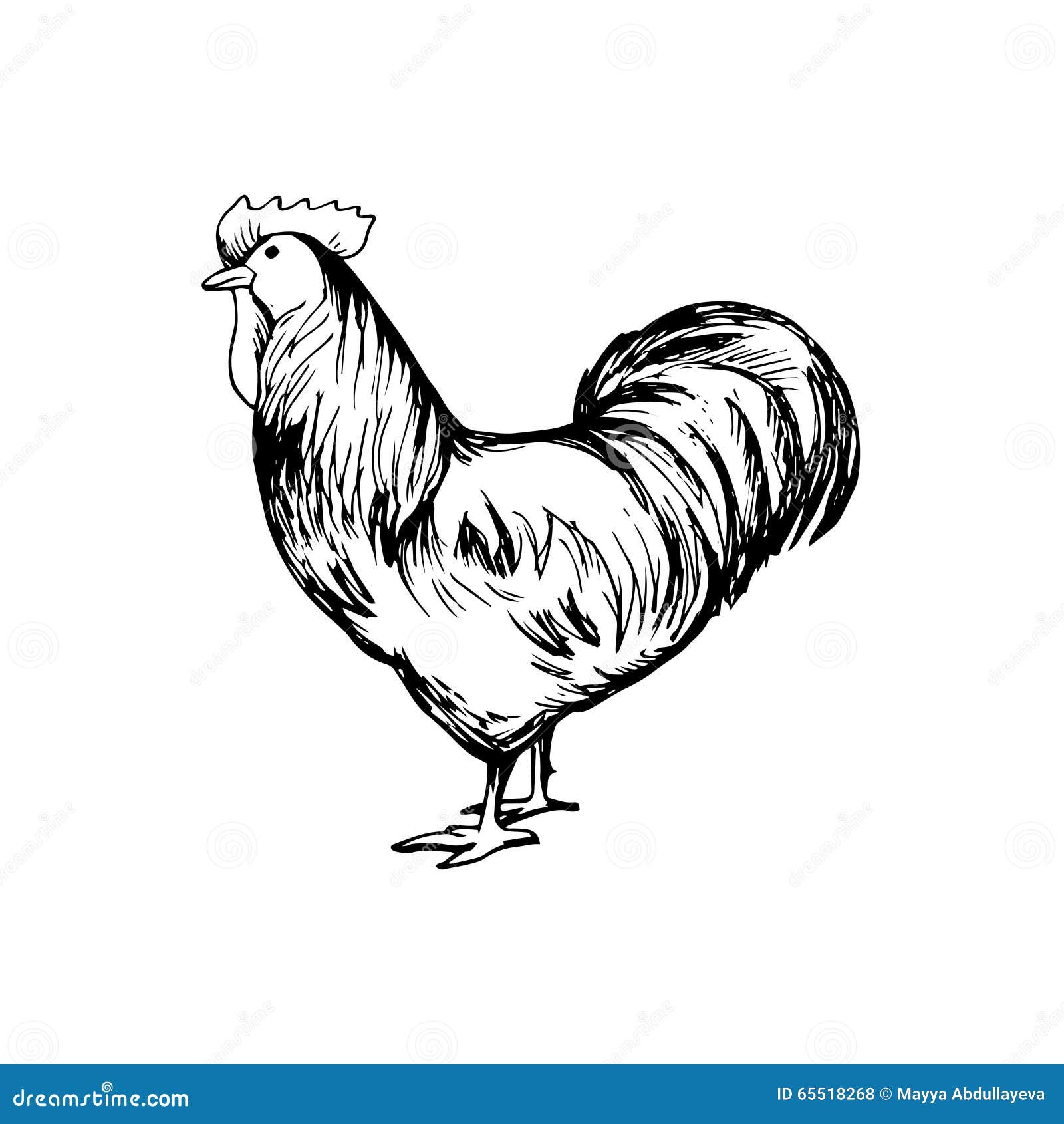 Hand Drawn Black and White Rooster Stock Vector - Illustration of hand ...