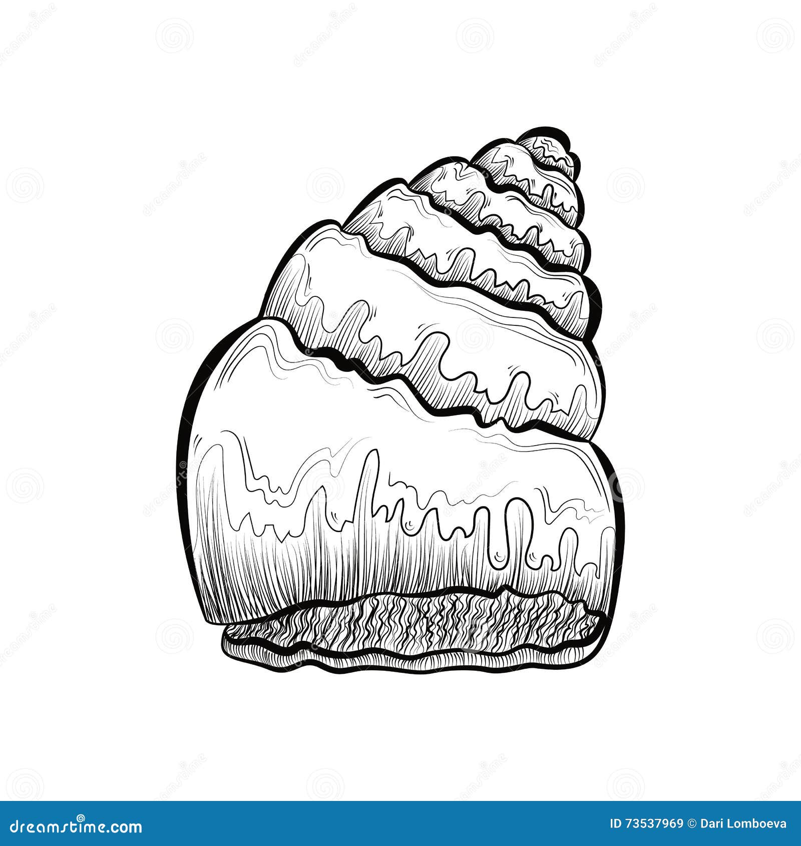 Hand Drawn Black and White Shell. Sketch Stock Vector - Illustration of ...