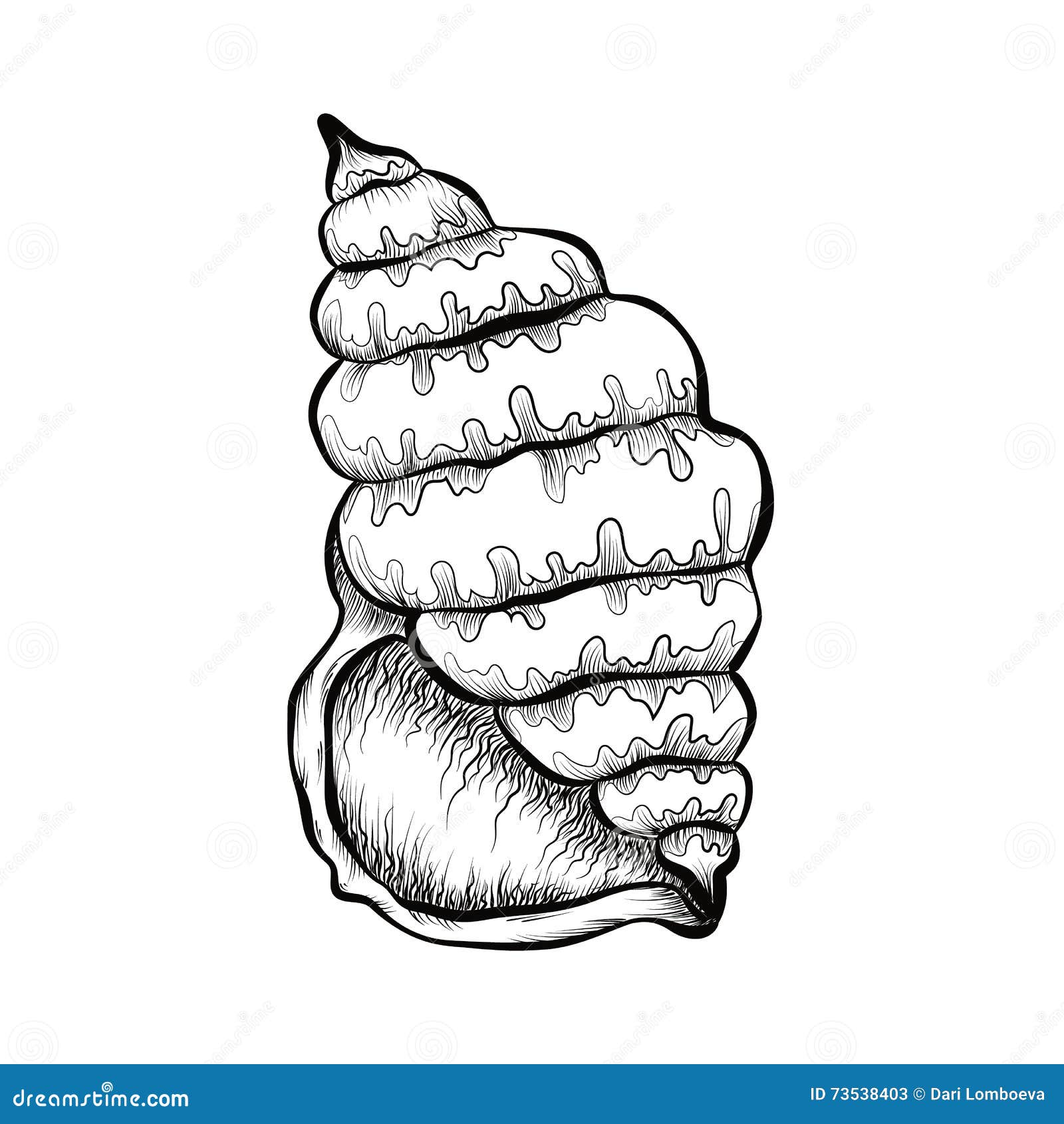 Hand Drawn Black and White Shell. Sketch Stock Vector - Illustration of ...