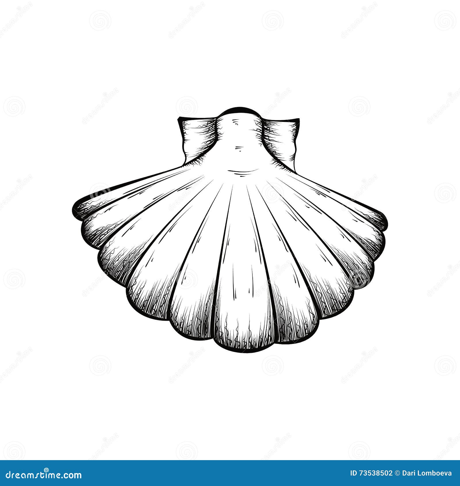 Hand Drawn Black and White Shell. Sketch Stock Vector - Illustration of ...