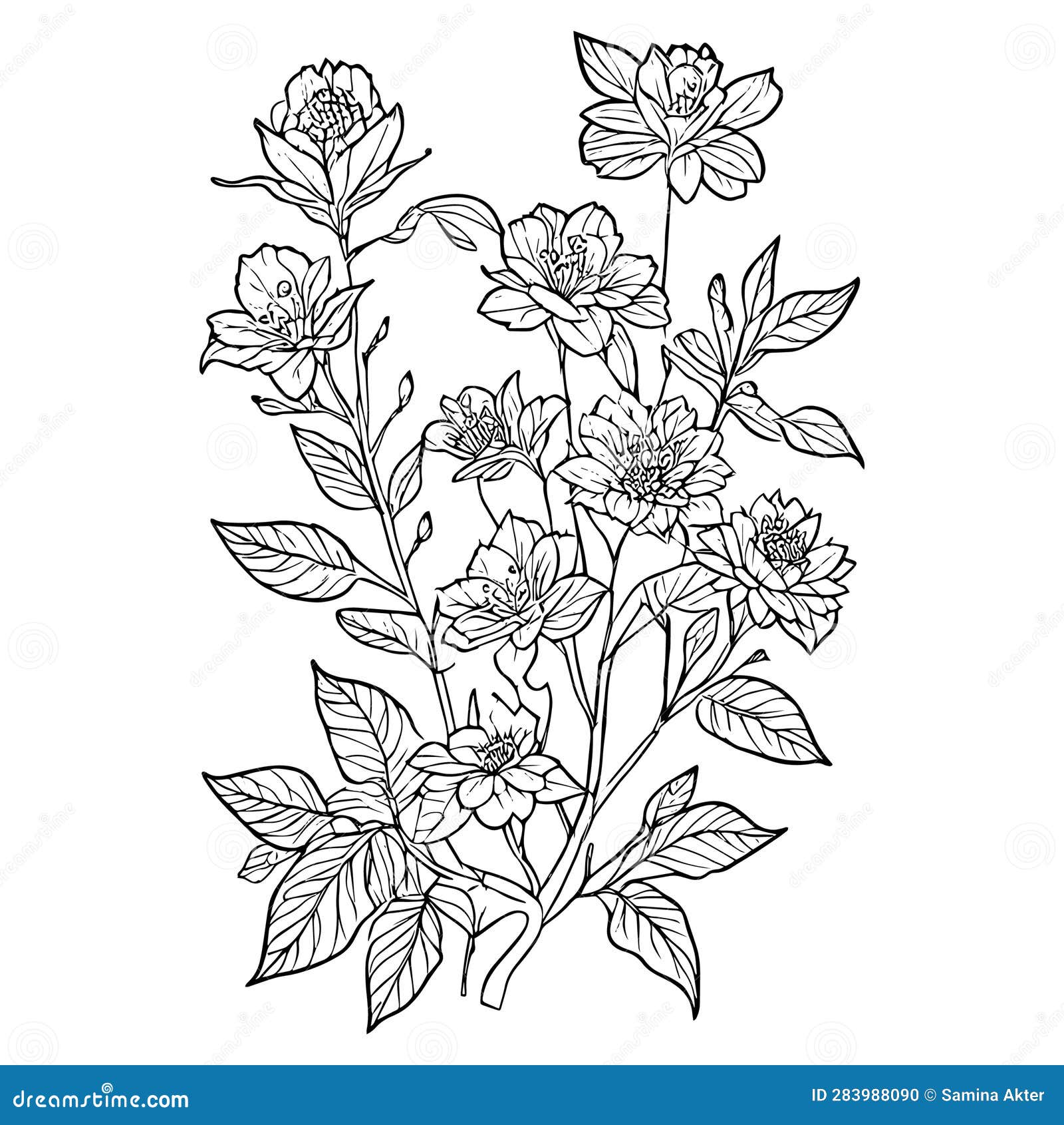 Hand-drawn Botanical Elements Line Art, Illustration Botanical Line ...