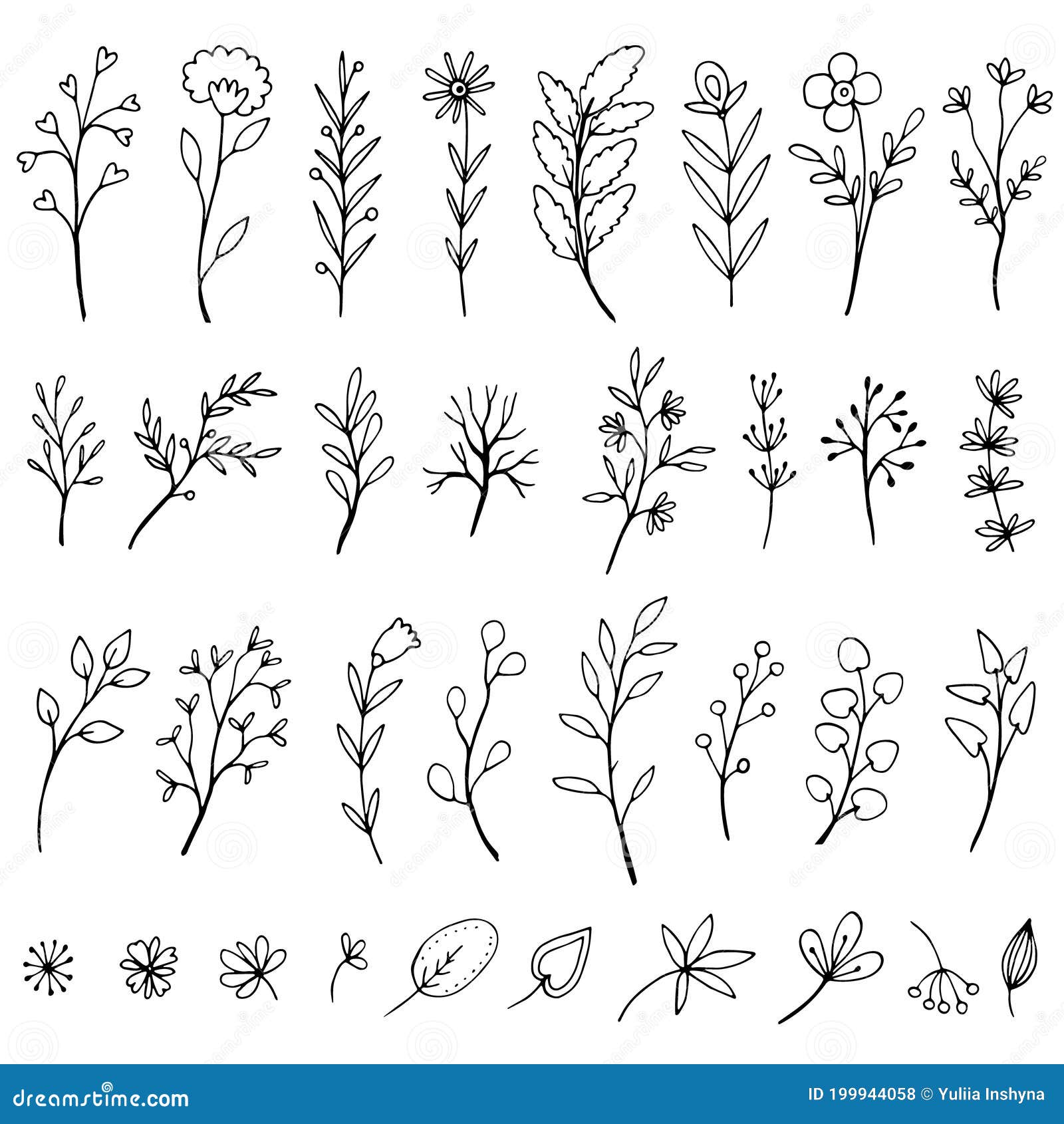 Hand Drawn Botanical Elements Set. Stock Vector - Illustration of curl ...