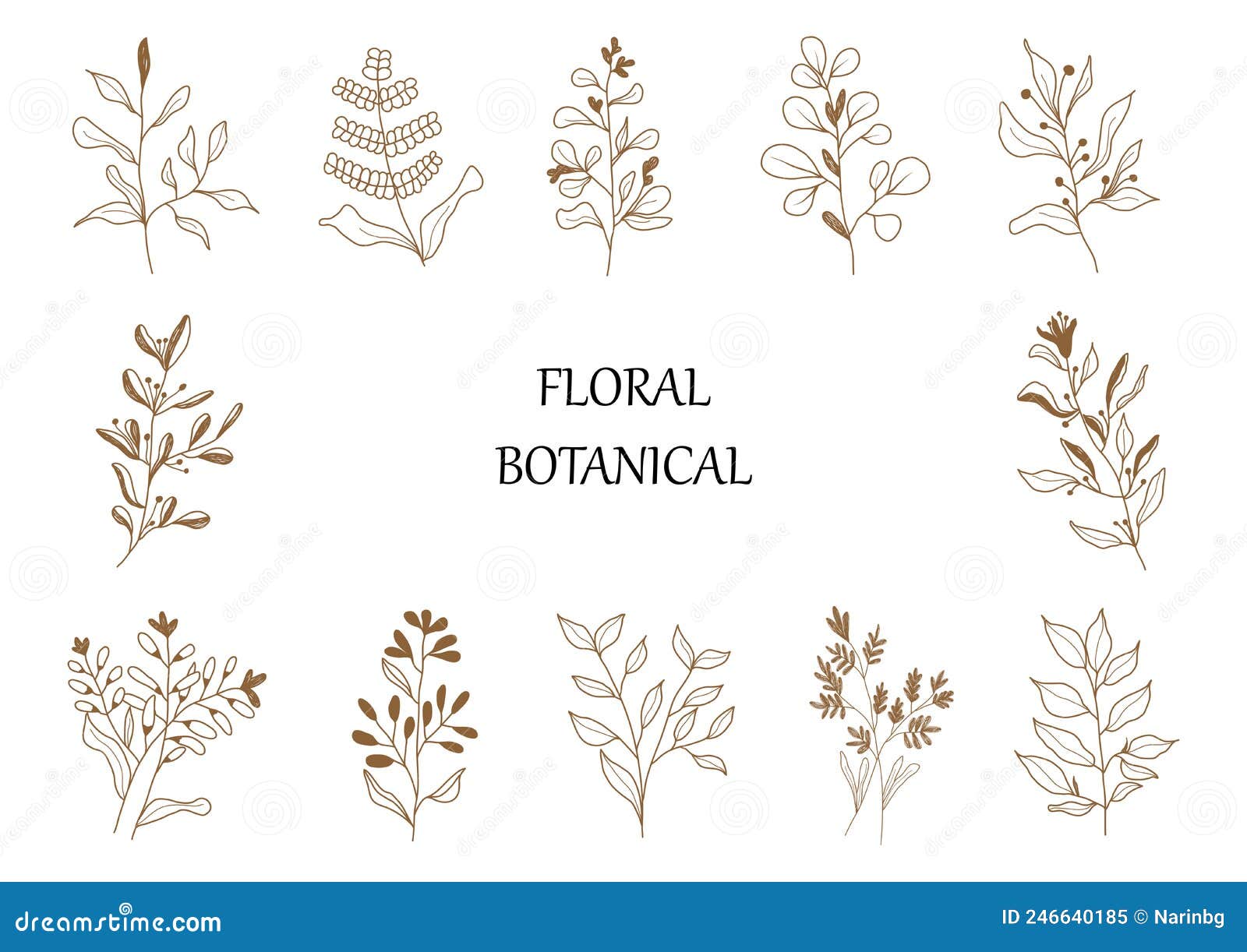 Hand Drawn Botanical Set Leaves and Flowers for Decoration Stock Vector ...