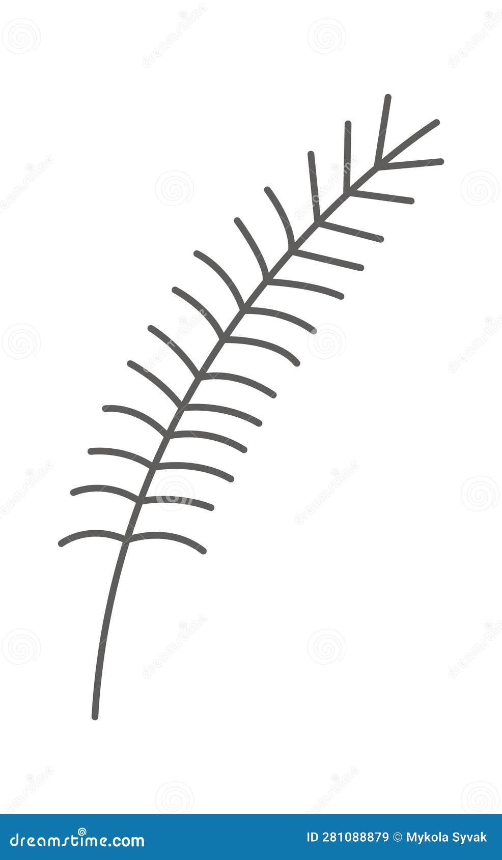 Hand Drawn Branch stock vector. Illustration of plant - 281088879