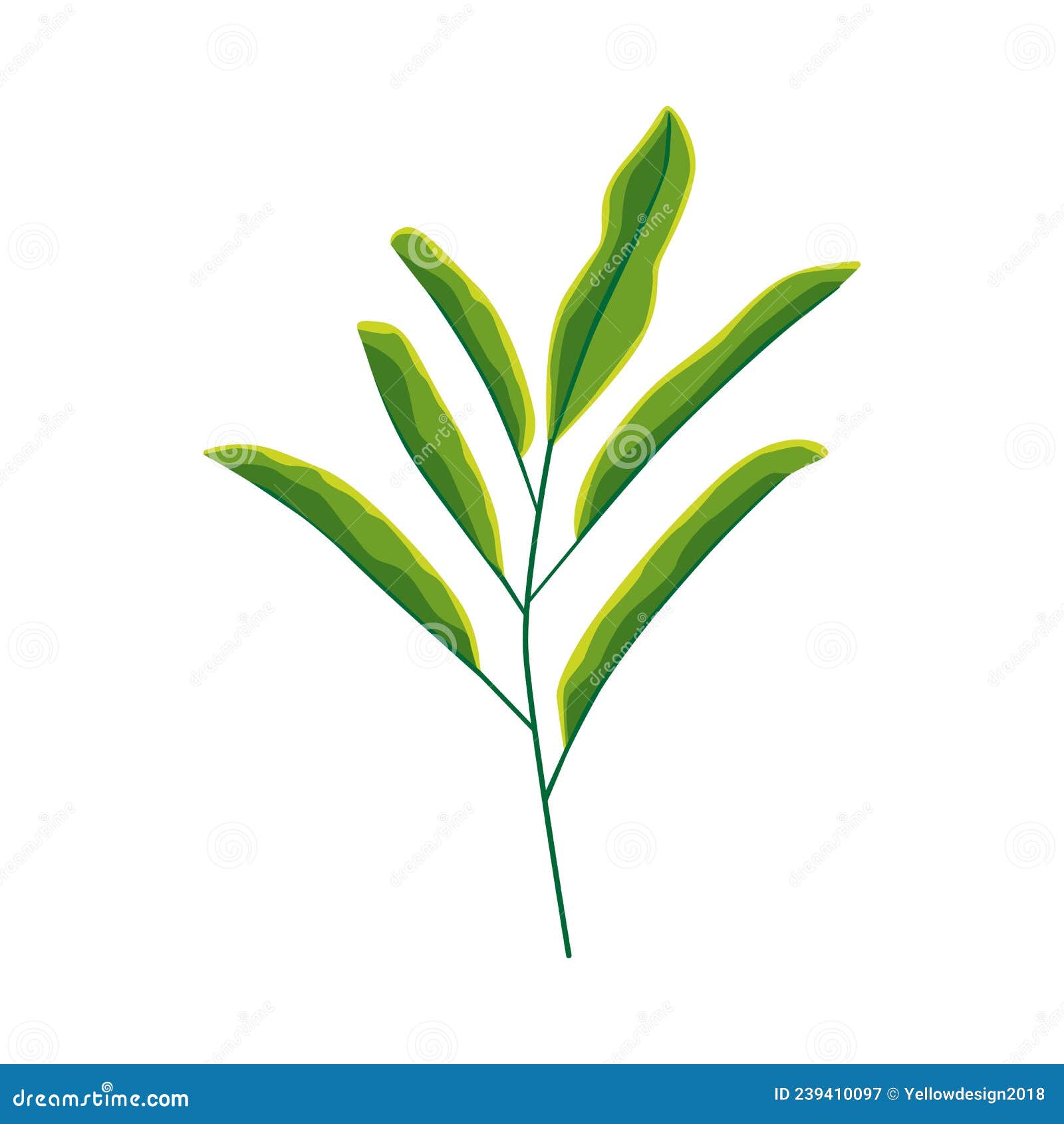 Hand Drawn Branch with Leaves Stock Vector - Illustration of freshness ...