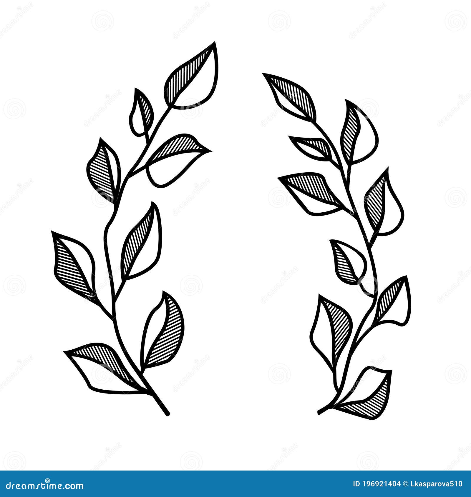 Hand drawn branch leaves stock vector. Illustration of natural - 196921404