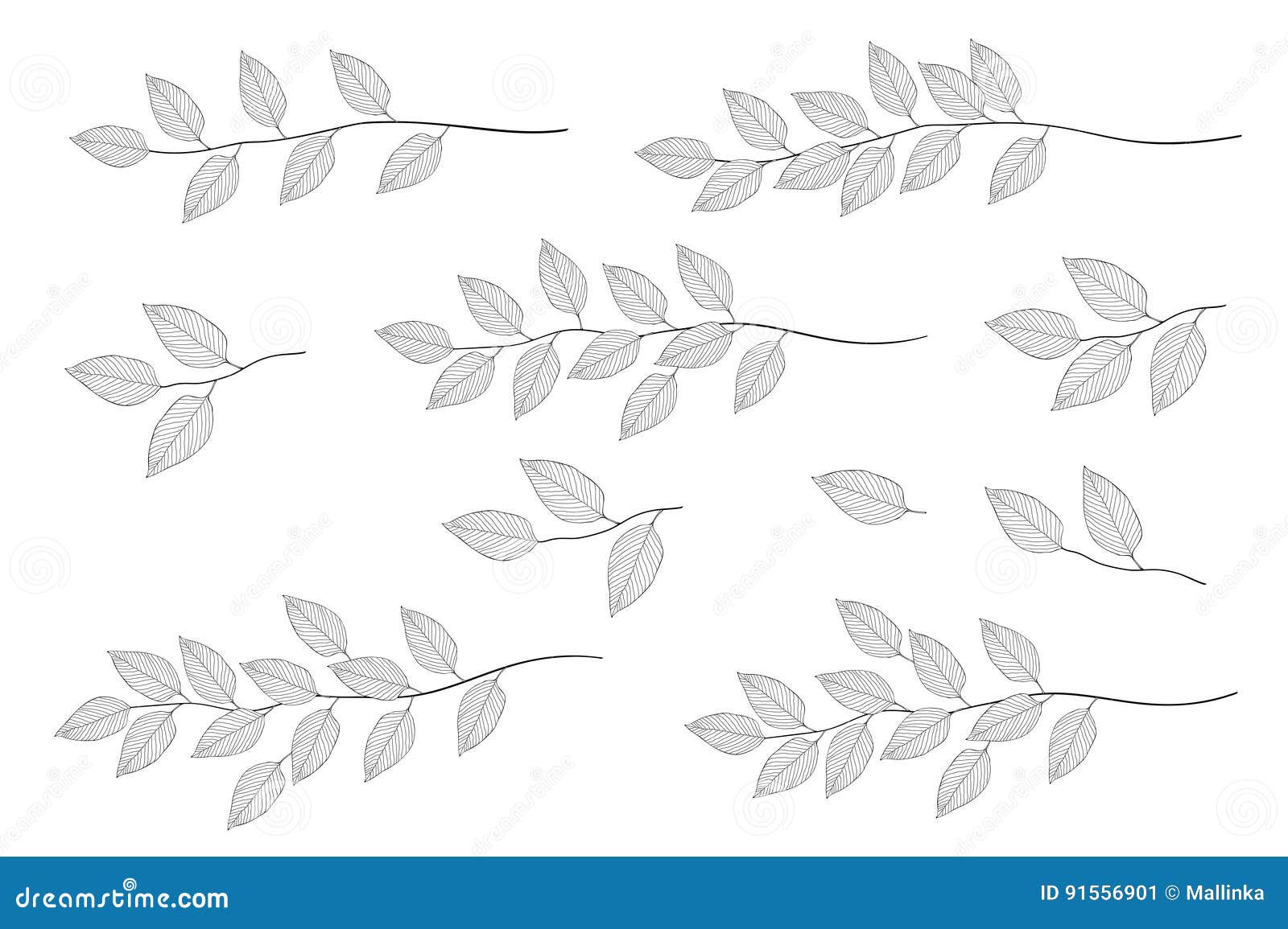 Hand drawn branches set stock vector. Illustration of natural - 91556901