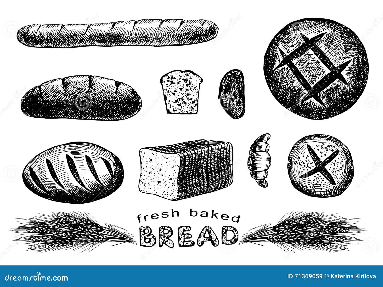 Hand drawn bread set stock vector. Illustration of wheat - 71369059
