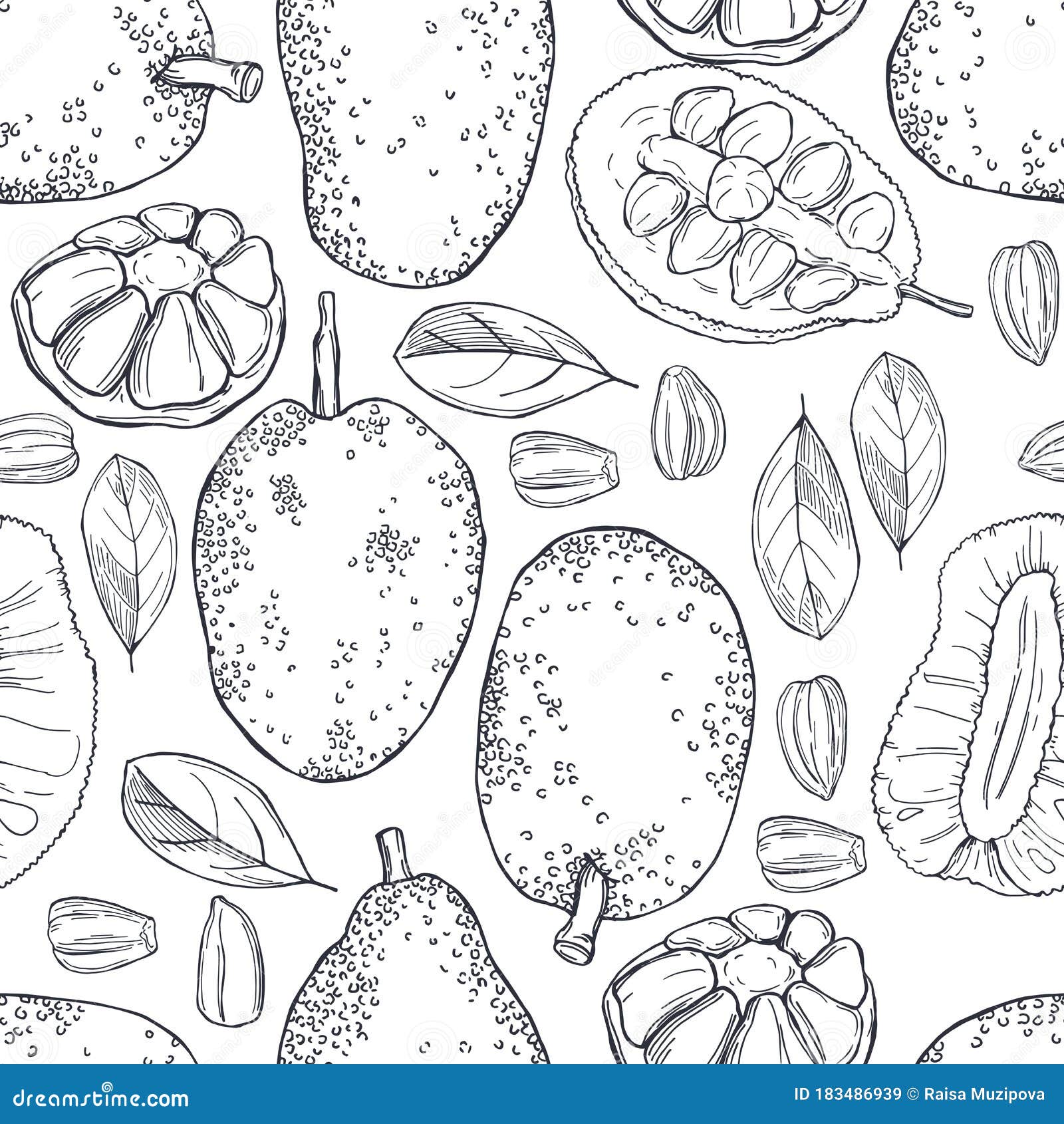 Hand Drawn Breadfruit Jackfruit. Vector Seamless Pattern Stock Vector ...